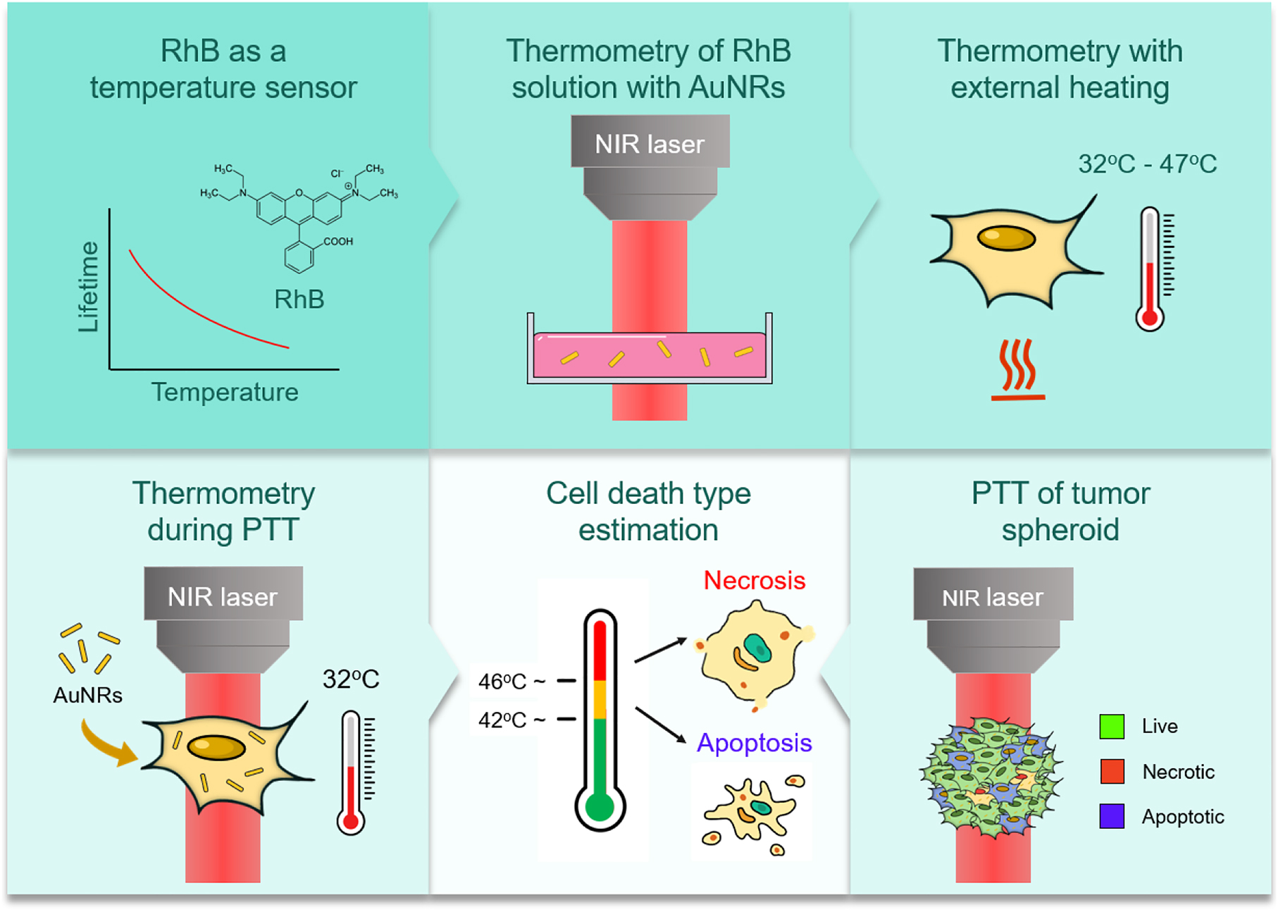 Fluorescence-based thermometry for precise estimation of nanoparticle ...