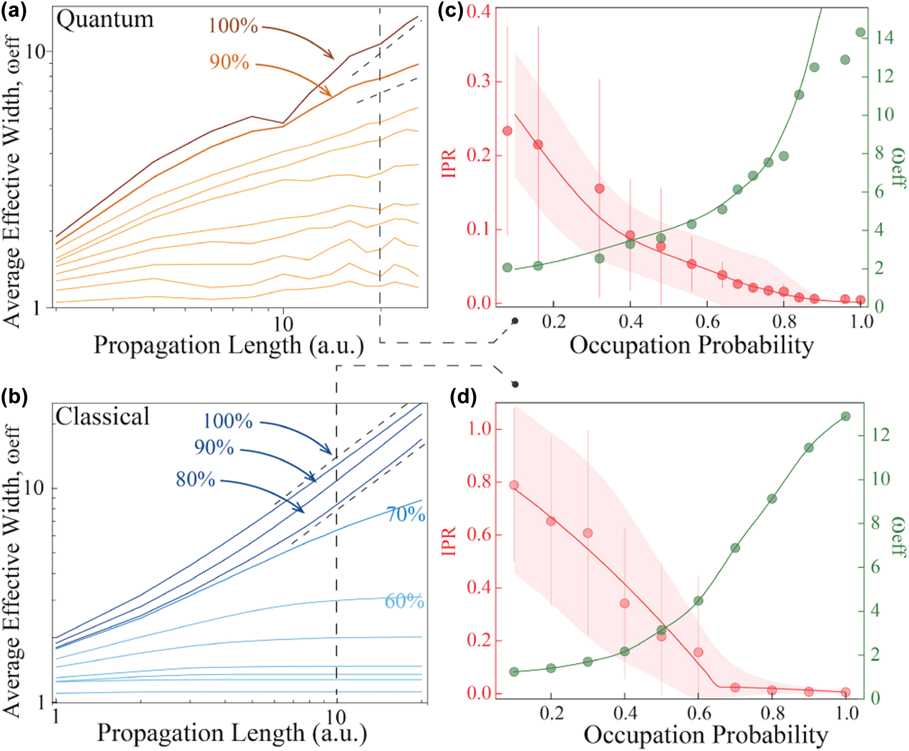 Direct observation of quantum percolation dynamics