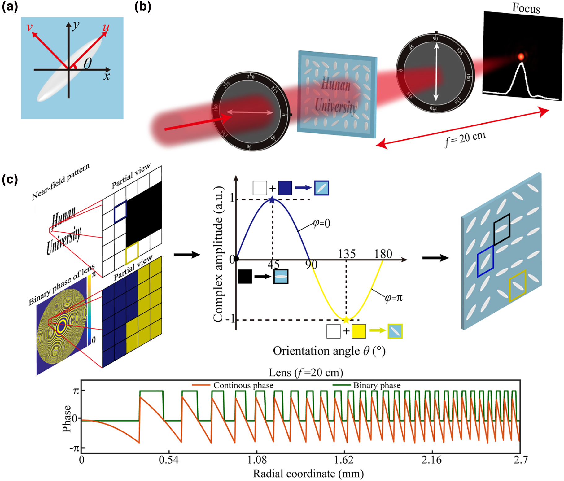 Planar liquid crystal optics for simultaneously surface displaying and ...