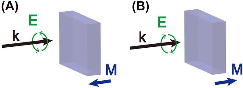 An inverse Faraday effect generated by linearly polarized...