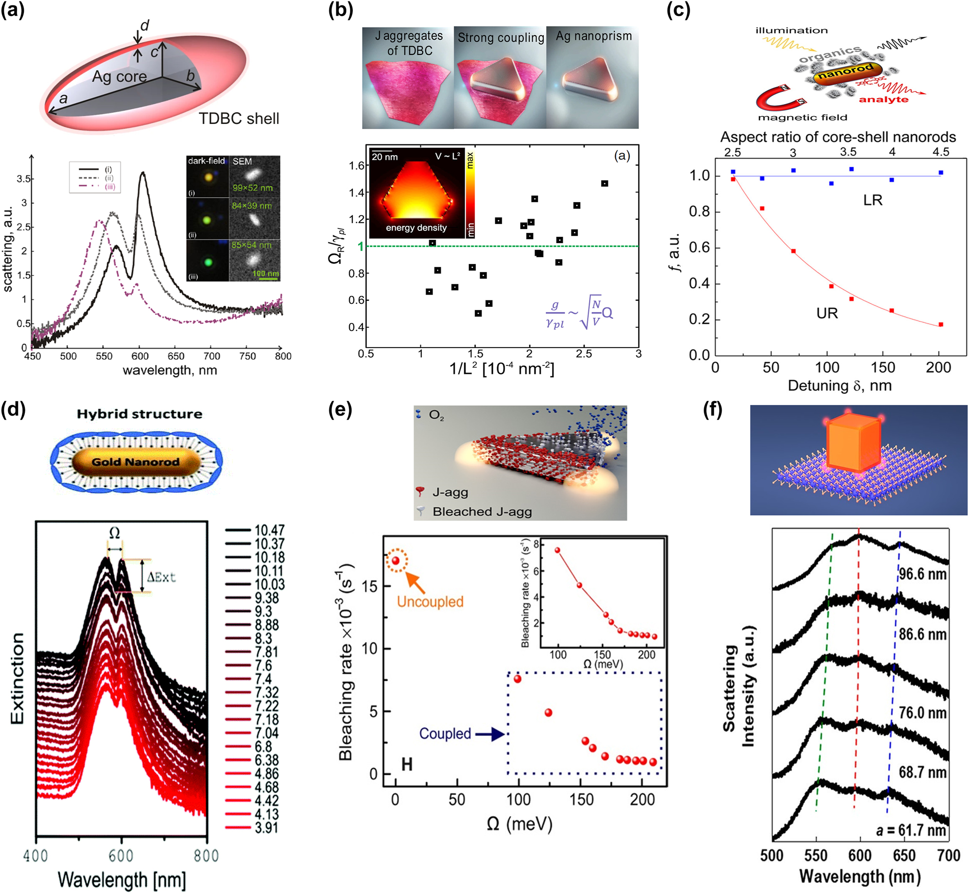 Recent advances in quantum nanophotonics: plexcitonic and vibro-polaritonic strong coupling and ...