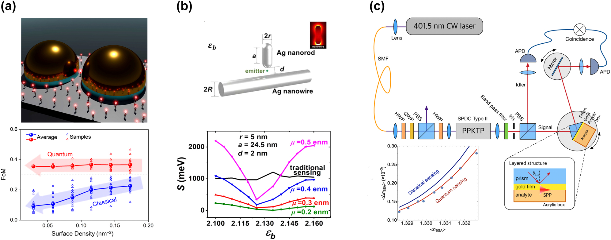 Recent advances in quantum nanophotonics: plexcitonic and vibro ...