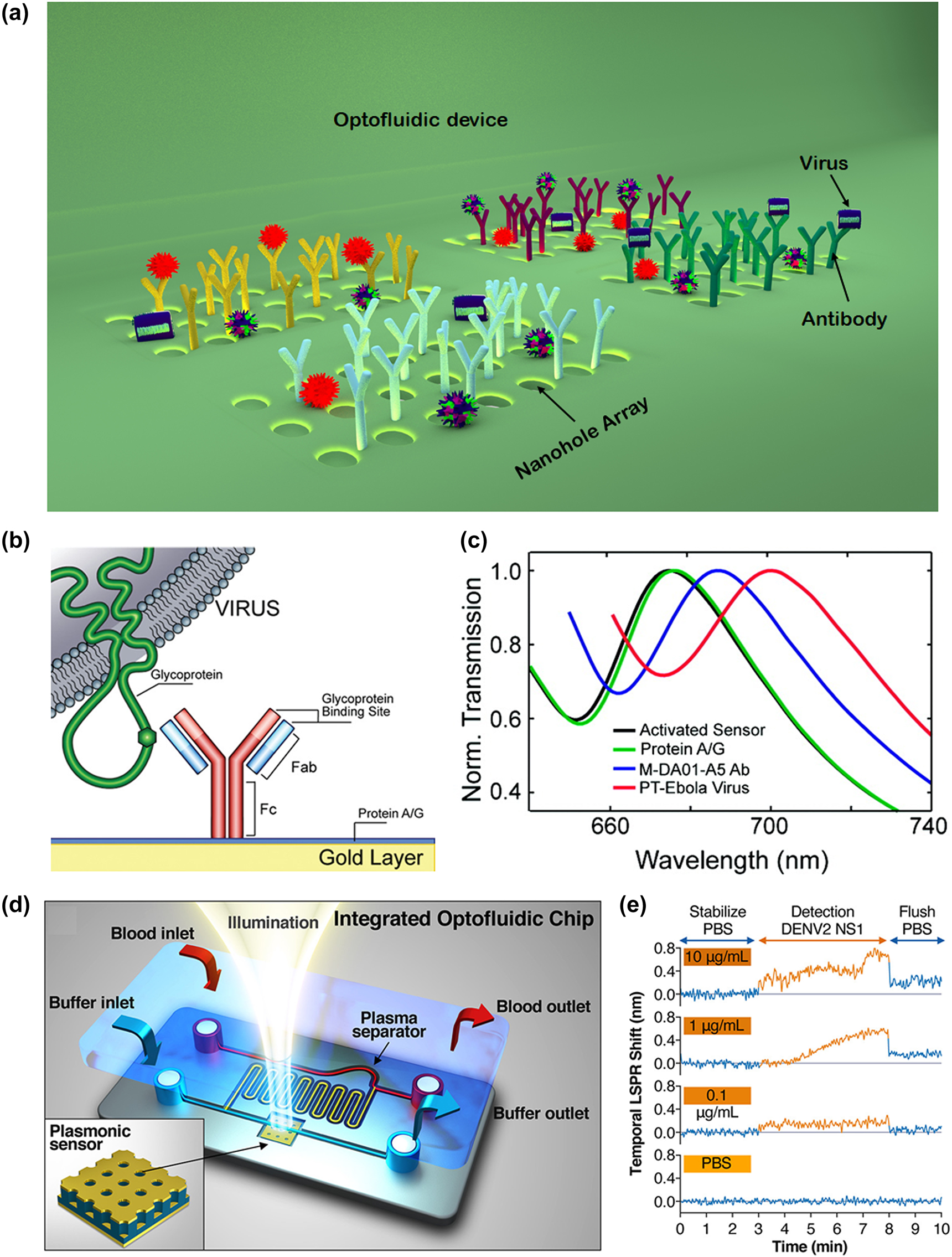 Emerging nanophotonic biosensor technologies for virus detection