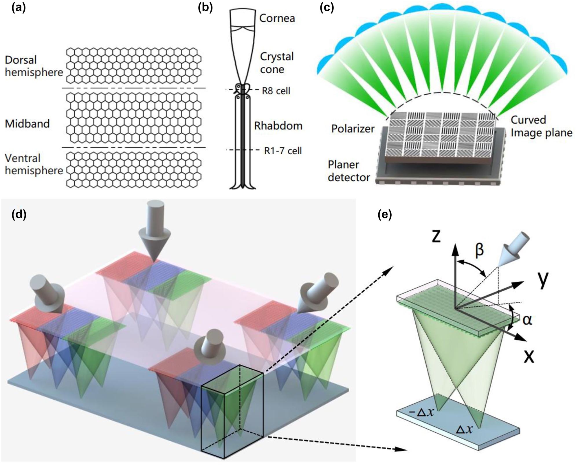 Wide field of view and full Stokes polarization imaging using ...