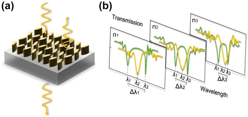 Dual-resonance sensing for environmental refractive index based on ...