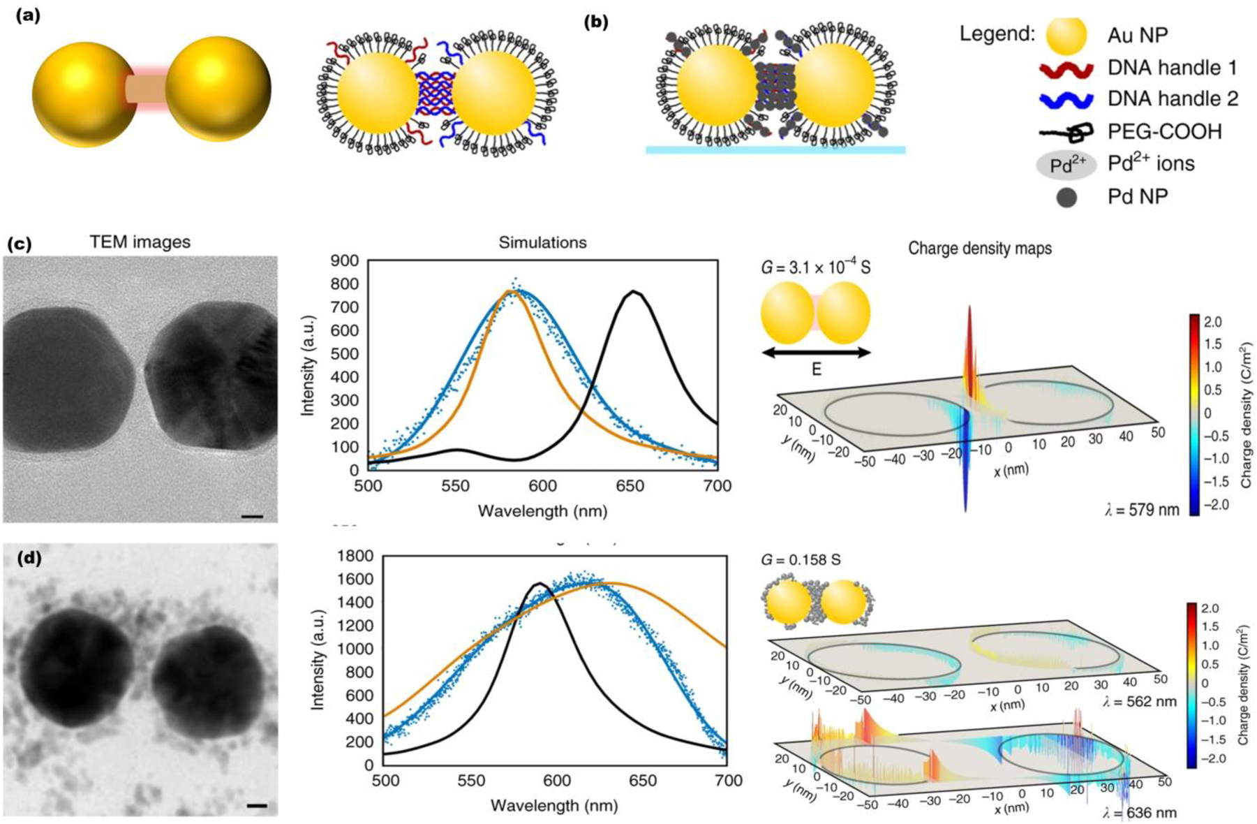 Multifunctional charge transfer plasmon resonance sensors
