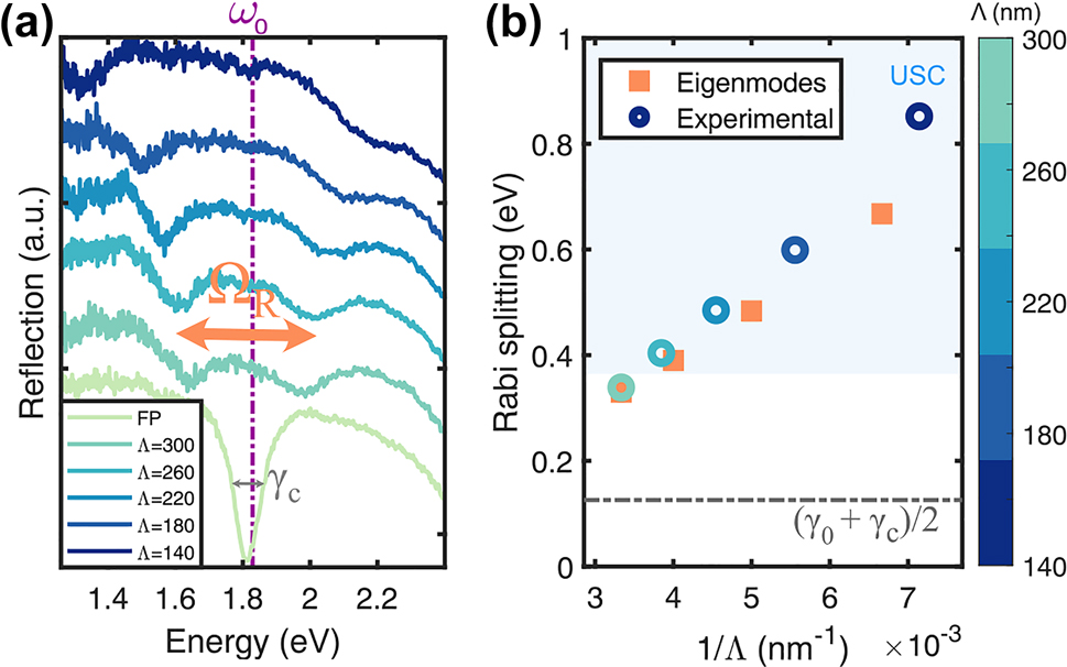 Polaritonic linewidth asymmetry in the strong and ultrastrong coupling ...
