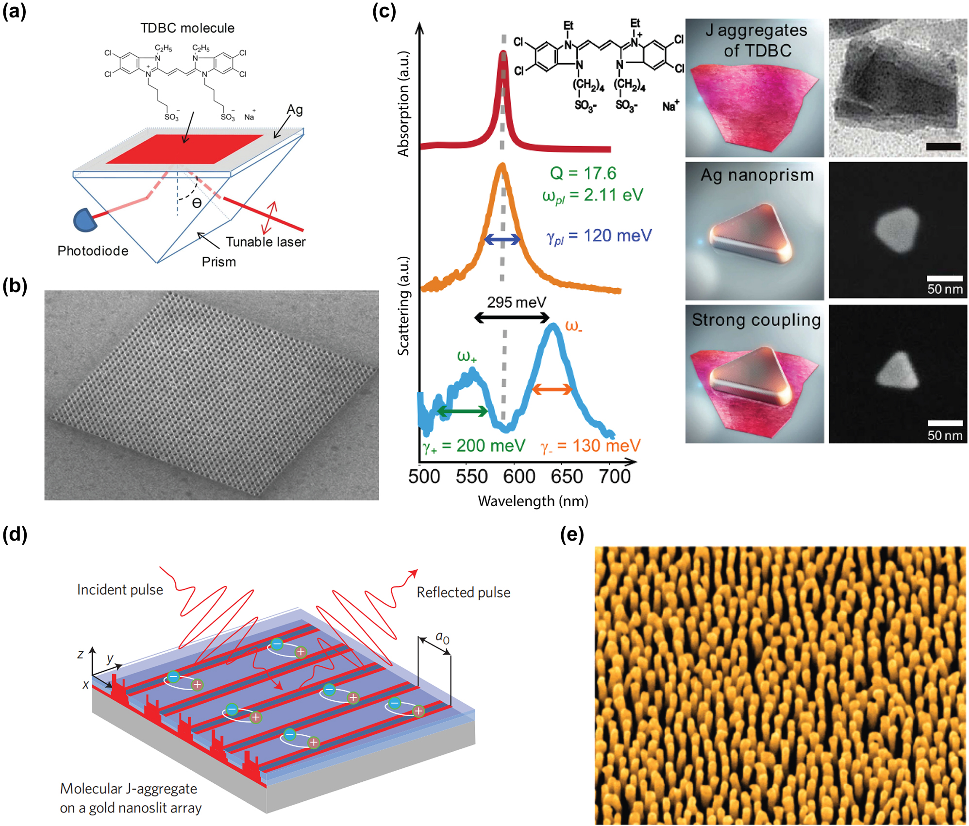 Molecular scale nanophotonics: hot carriers, strong coupling, and electrically driven plasmonic ...