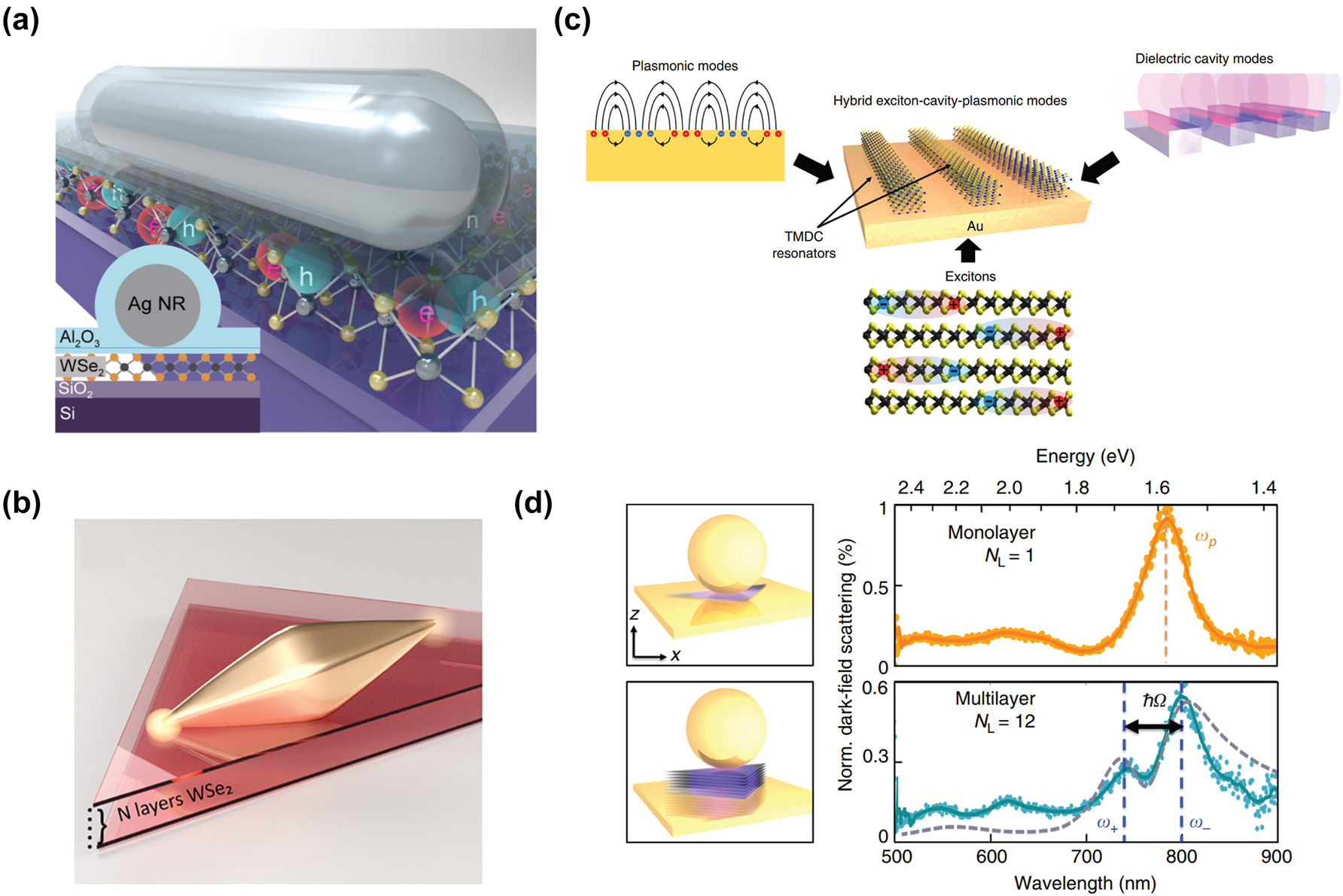 Molecular scale nanophotonics: hot carriers, strong coupling, and electrically driven plasmonic ...
