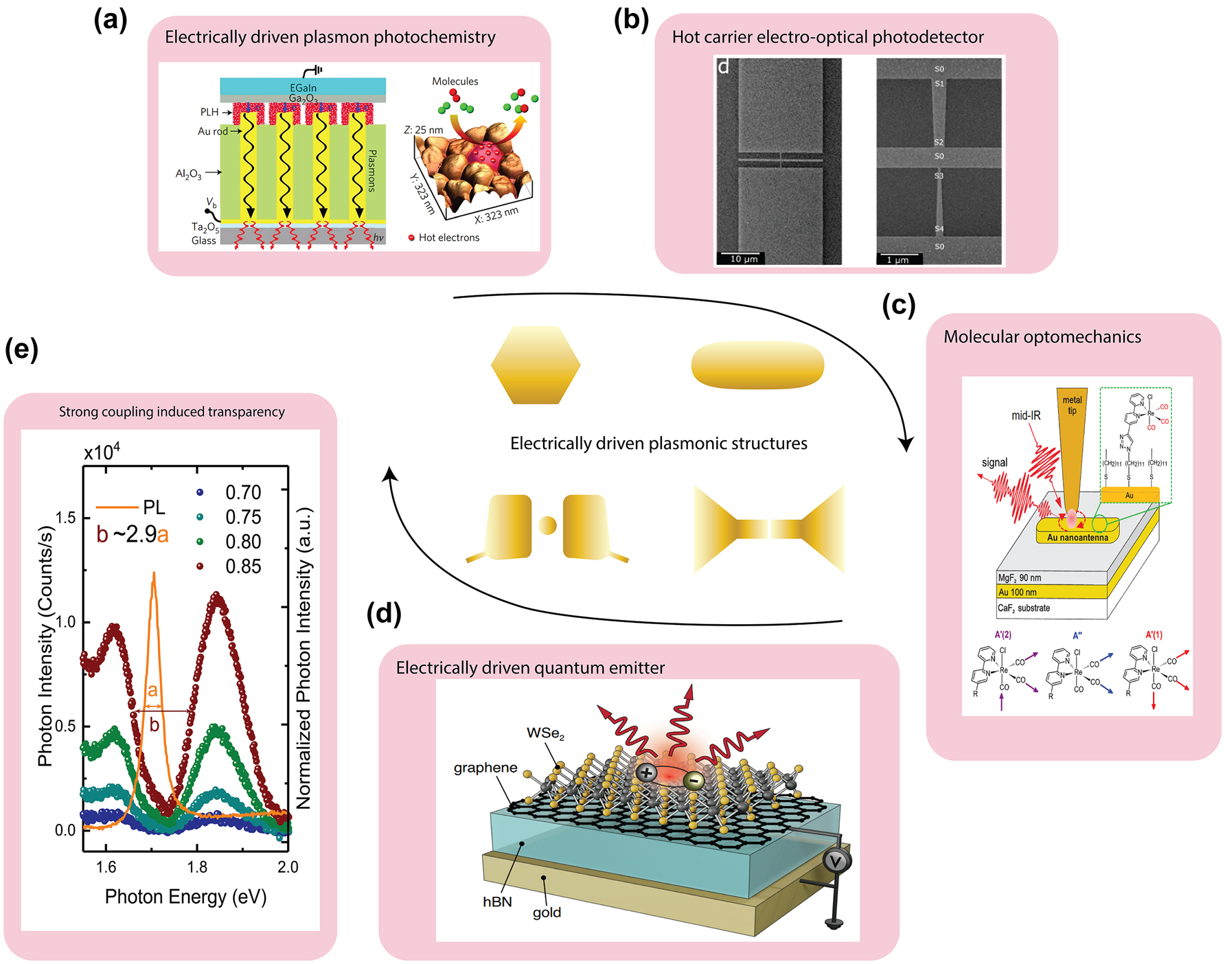 Molecular scale nanophotonics: hot carriers, strong coupling, and electrically driven plasmonic ...