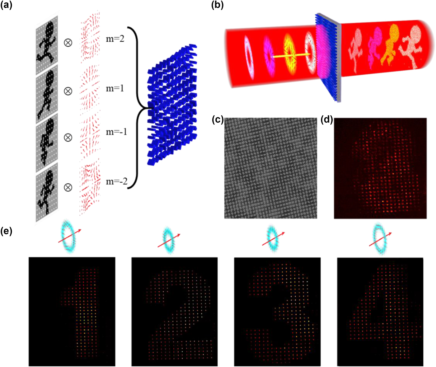 Cylindrical vector beam multiplexing holography employing spin-decoupled phase modulation ...