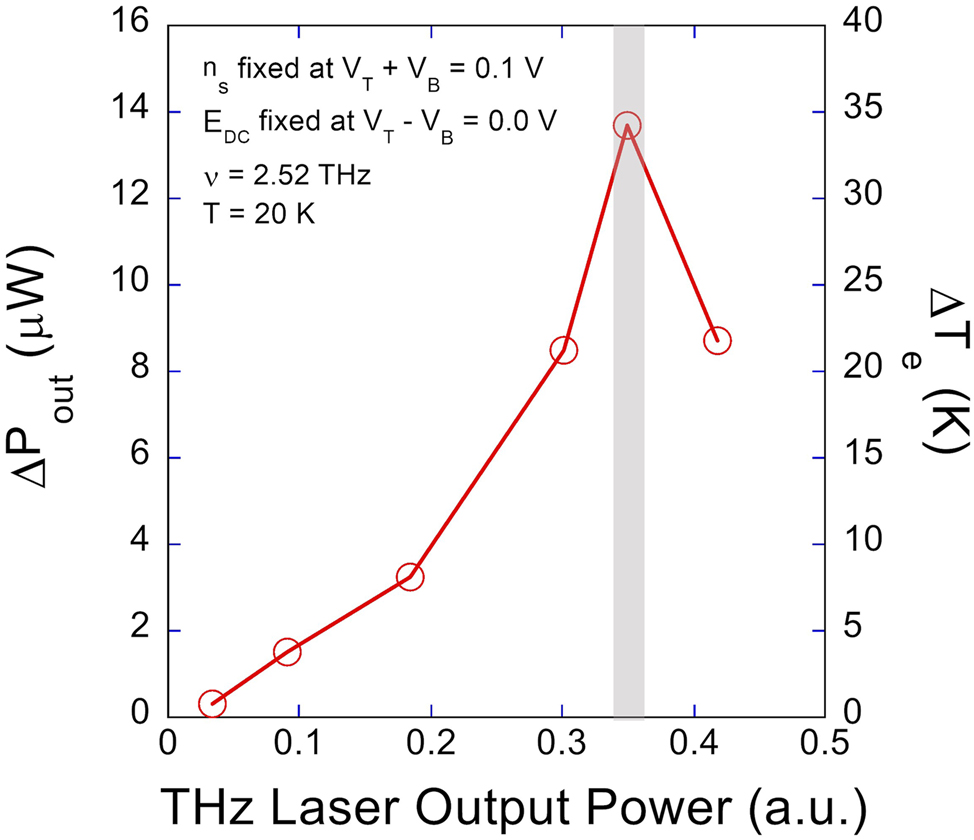 Probing THz intersubband absorption using Johnson noise thermometry