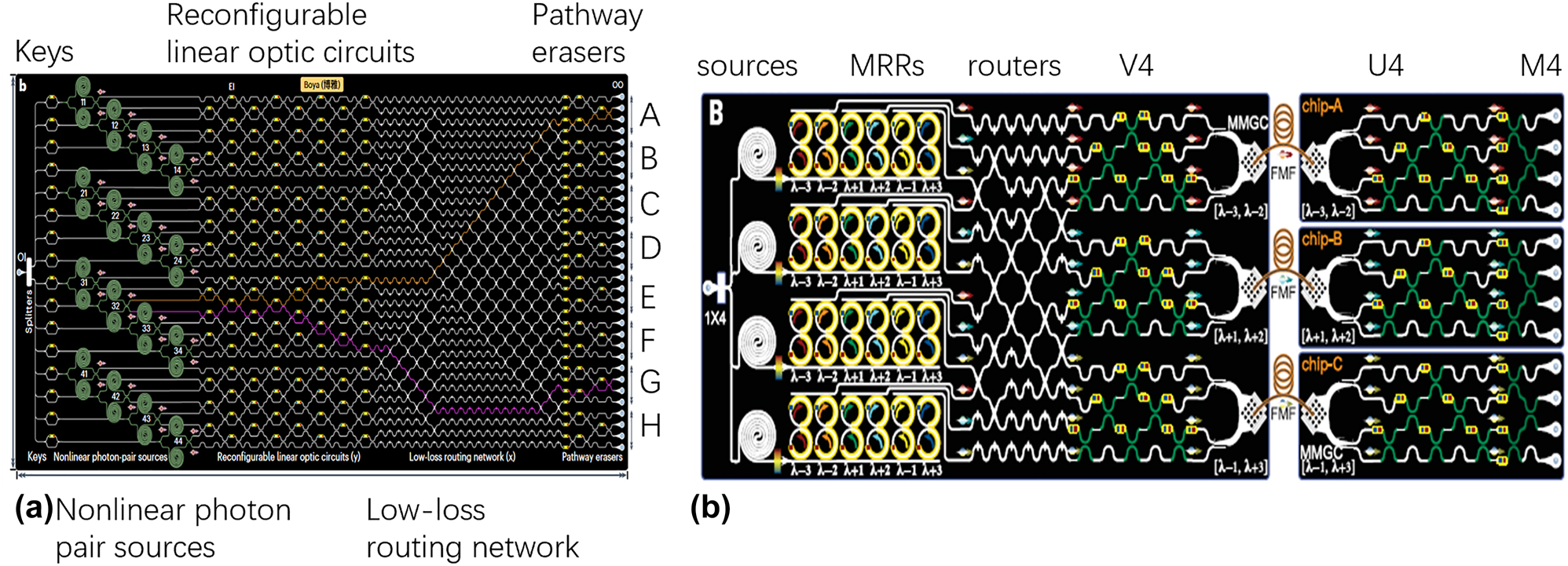 Towards large-scale programmable silicon photonic chip for signal processing