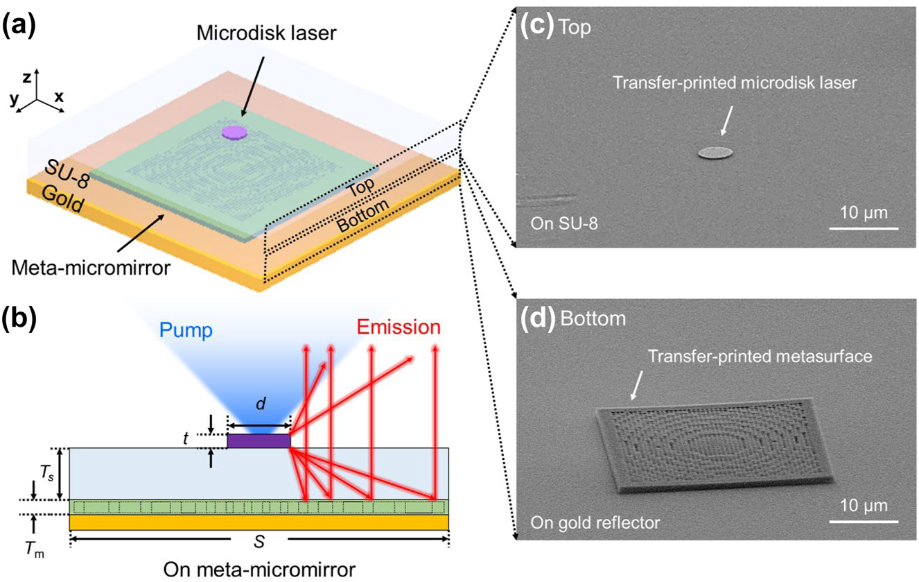 Emission engineering in microdisk lasers via direct integration of meta ...