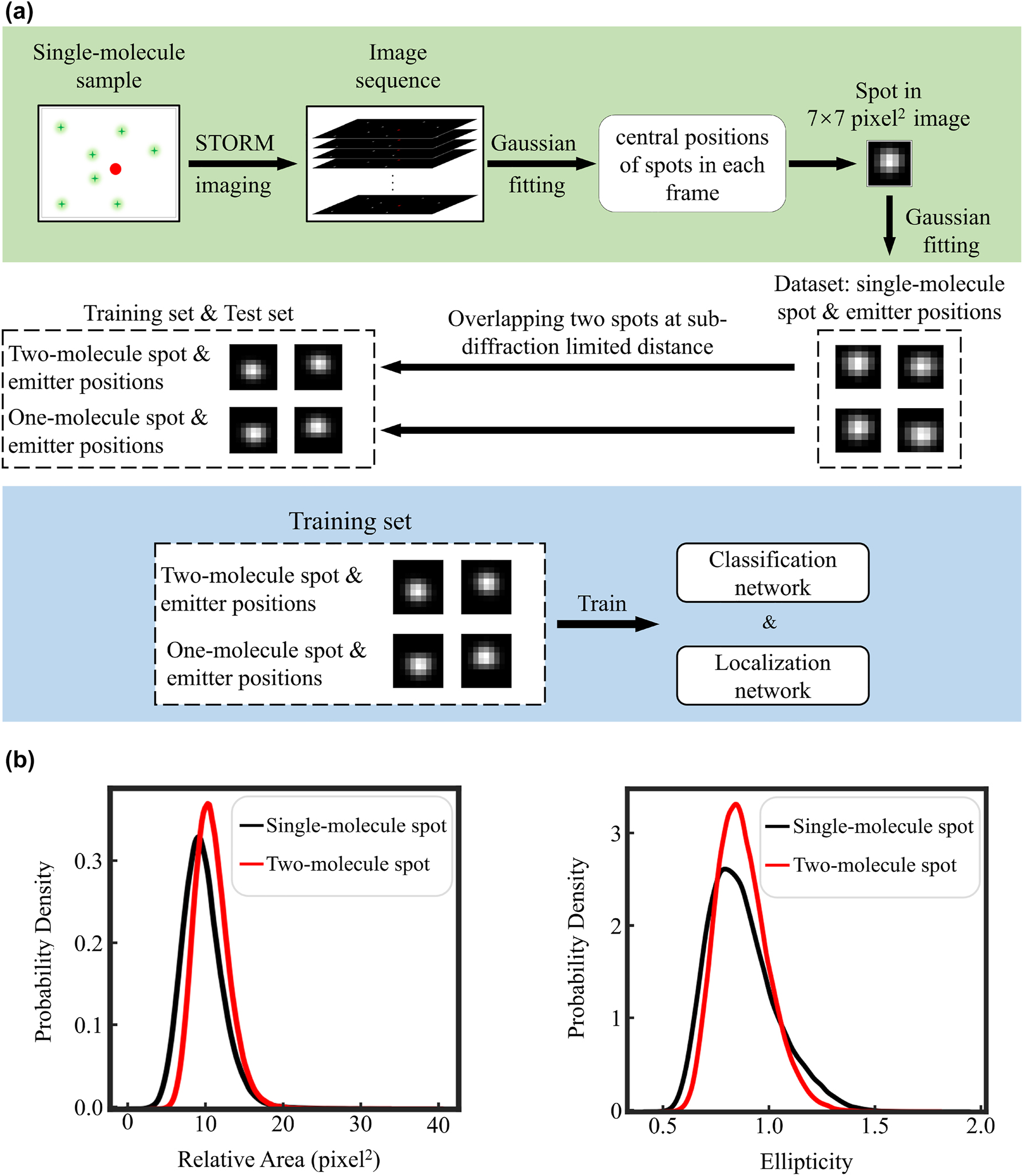 Digital-SMLM for precisely localizing emitters within the diffraction limit
