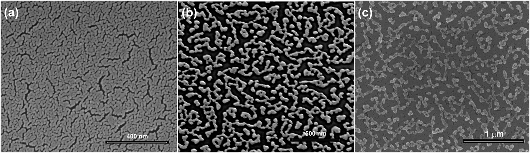 Dry synthesis of bi-layer nanoporous metal films as plasm...