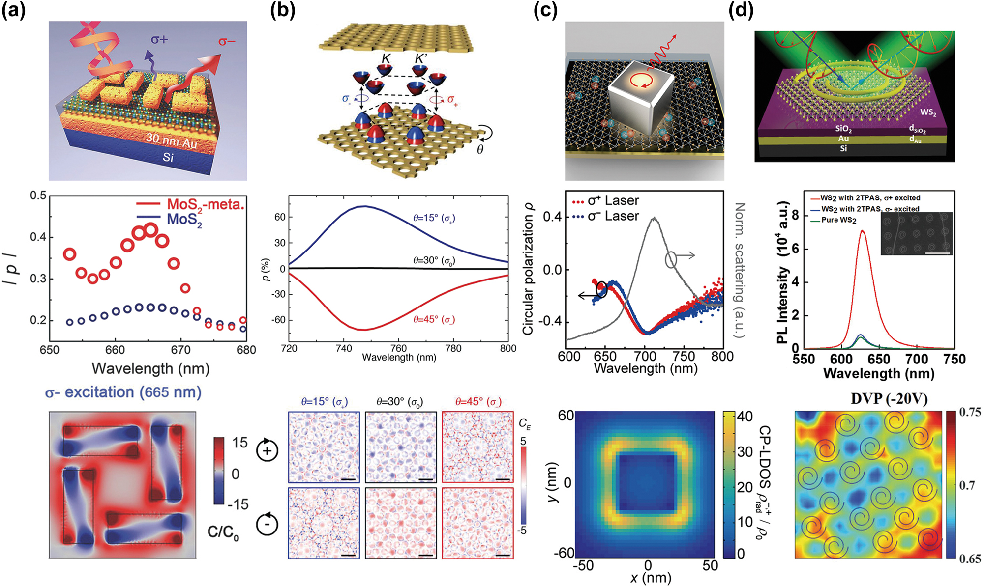 Nanophotonic route to control electron behaviors in 2D materials