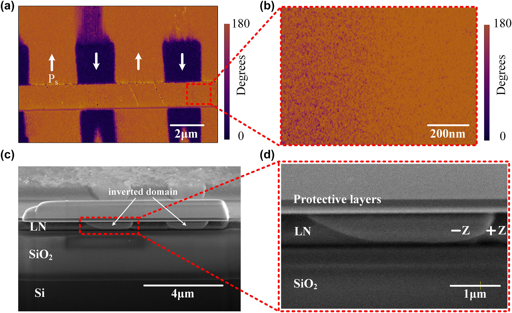 High-efficiency nonlinear frequency conversion enabled by optimizing the ferroelectric domain ...