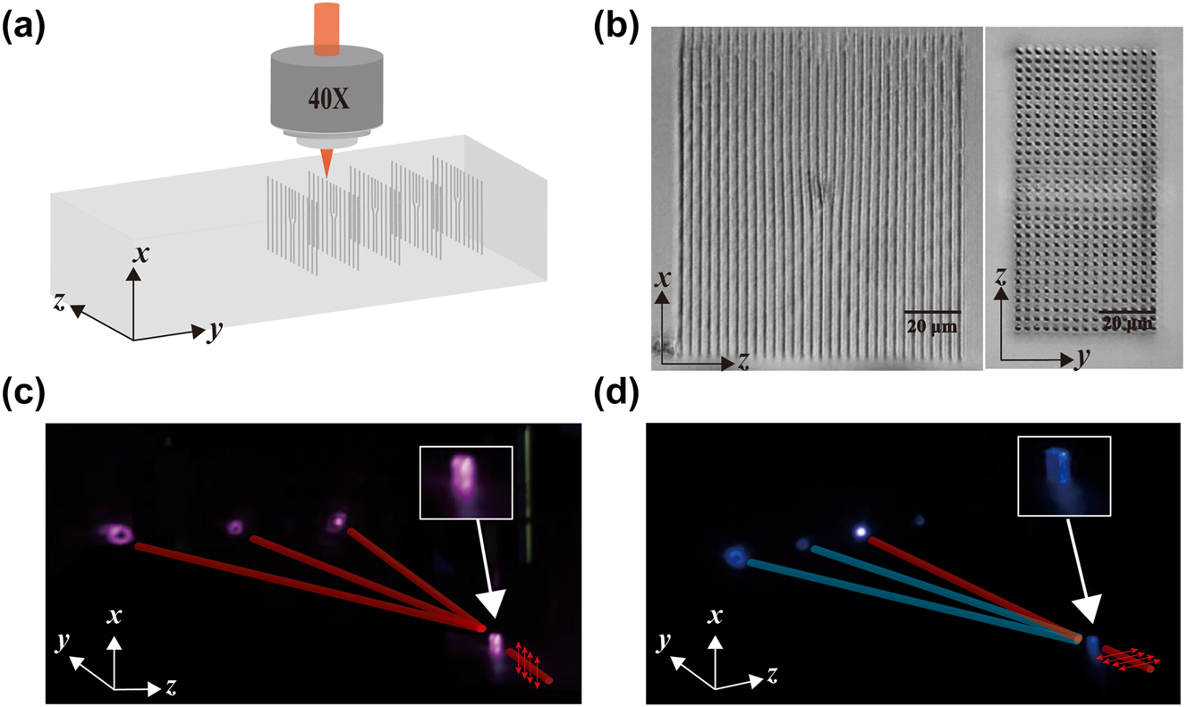 Efficient generation of octave-separating orbital angular momentum ...