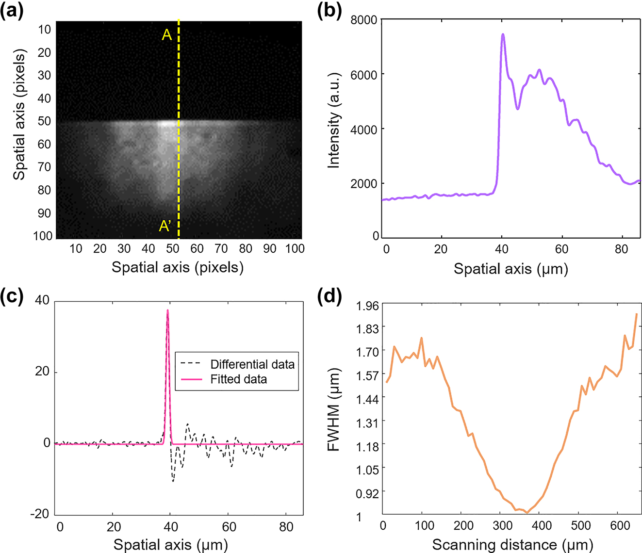 Quantitative measurement of spatial distribution of effective ...
