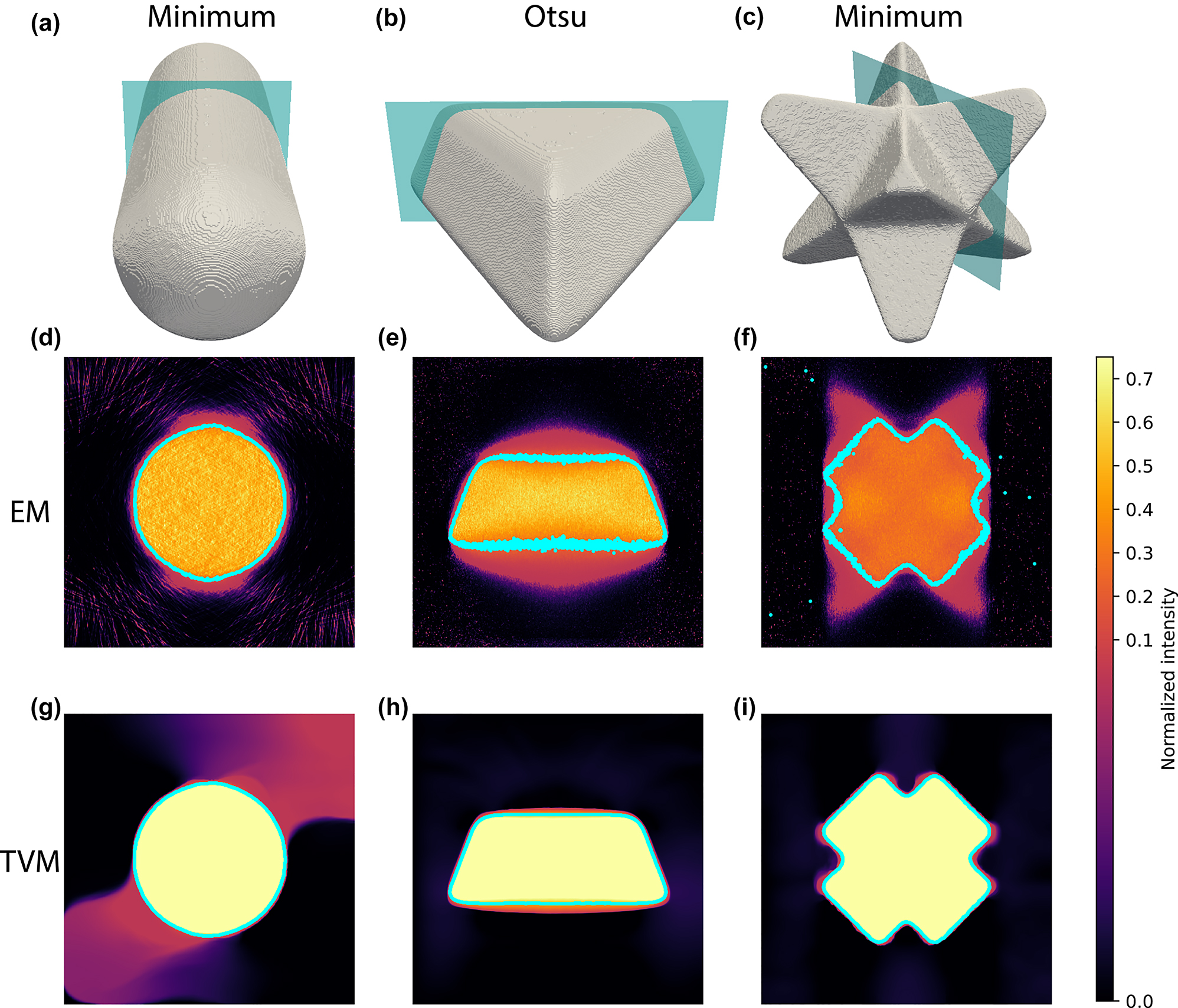 Considerations for electromagnetic simulations for a quantitative ...