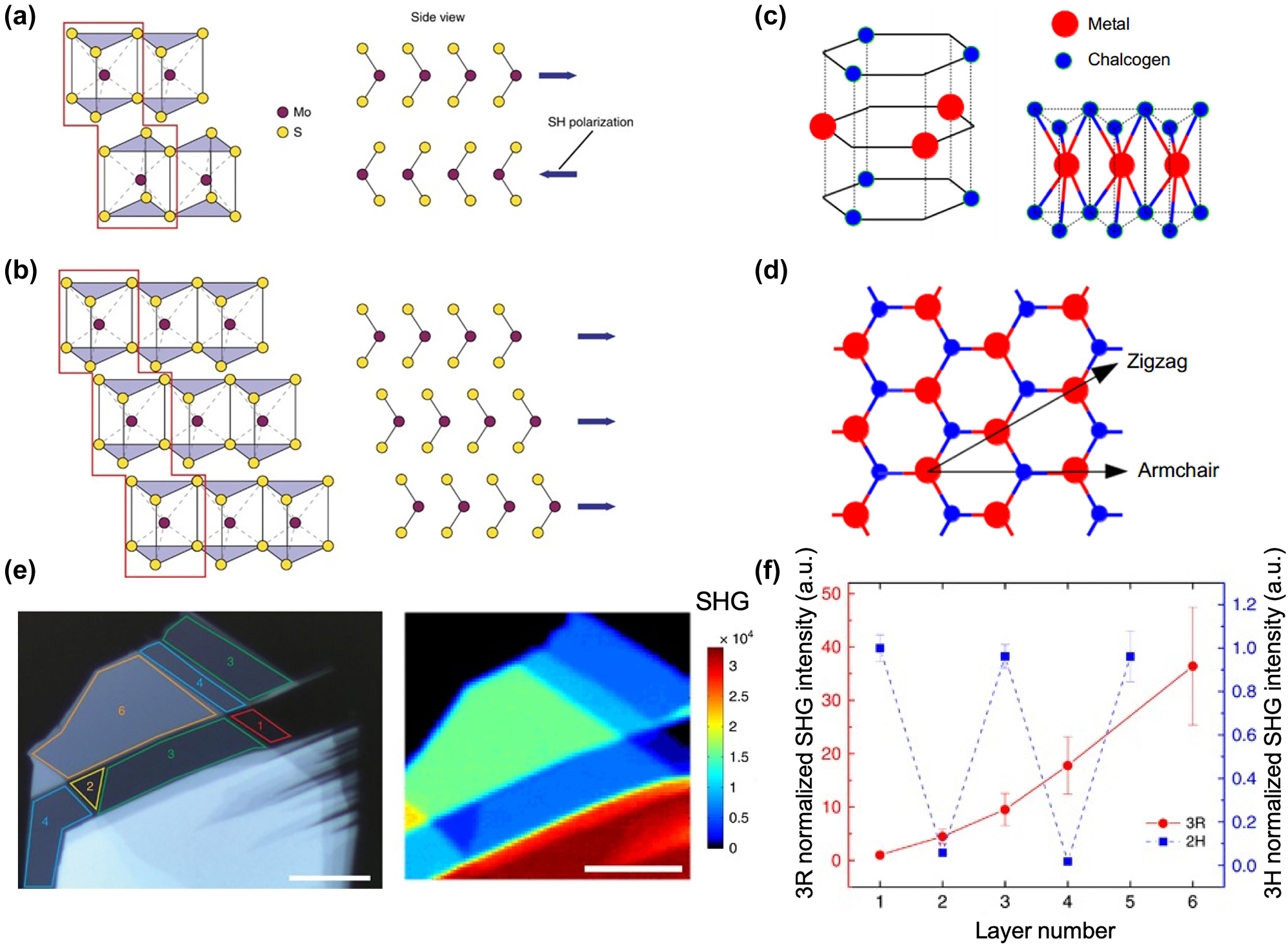 Tailoring of the polarization-resolved second harmonic generation in ...
