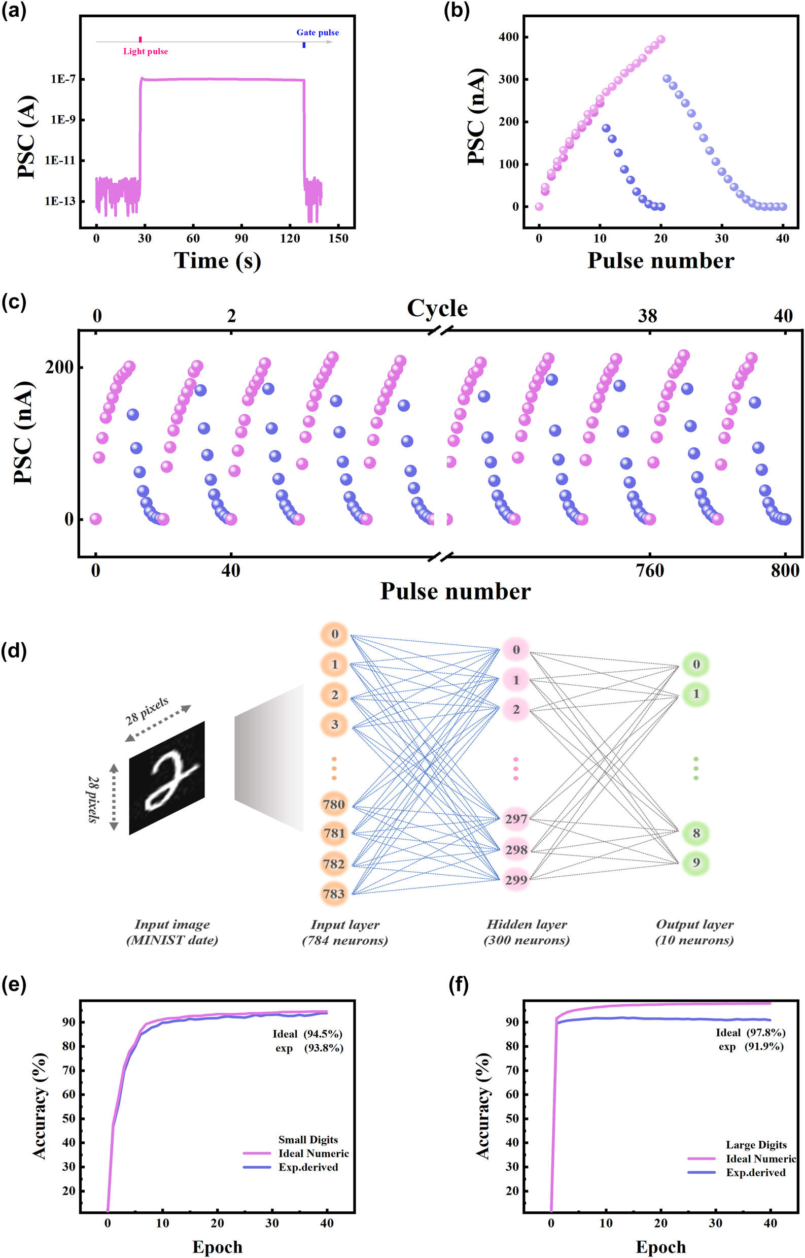 Artificial optoelectronic synapse based on CdSe nanobelt photosensitized MoS2 transistor with ...