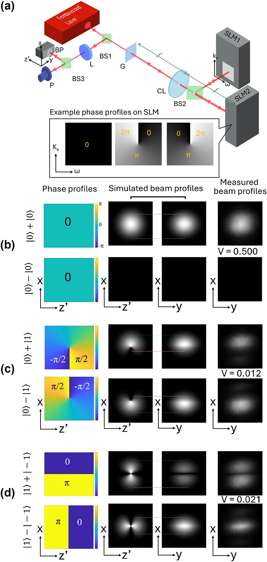 Transverse orbital angular momentum and polarization enta...