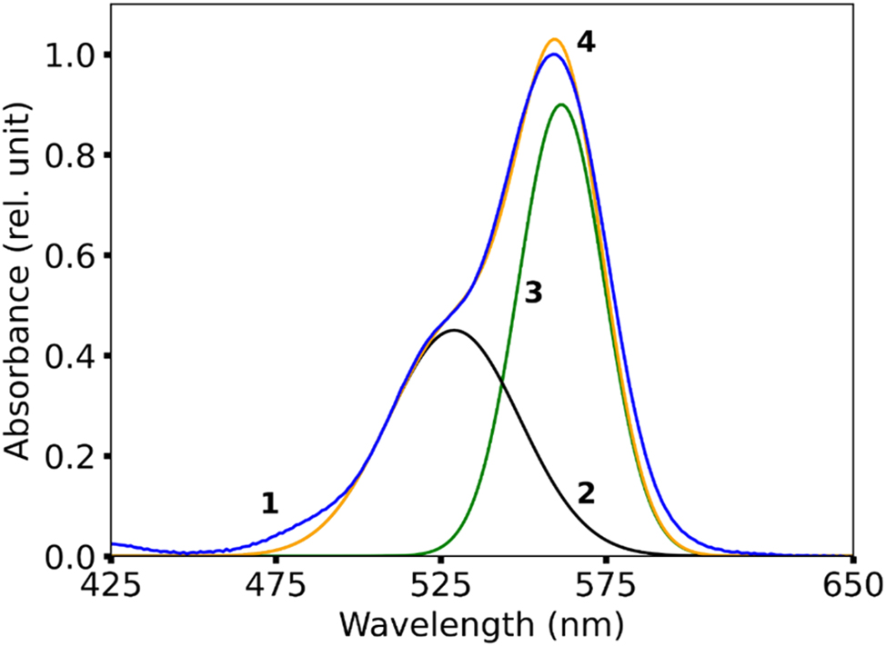 Anomalous dispersion in coupled surface plasmons and excitons