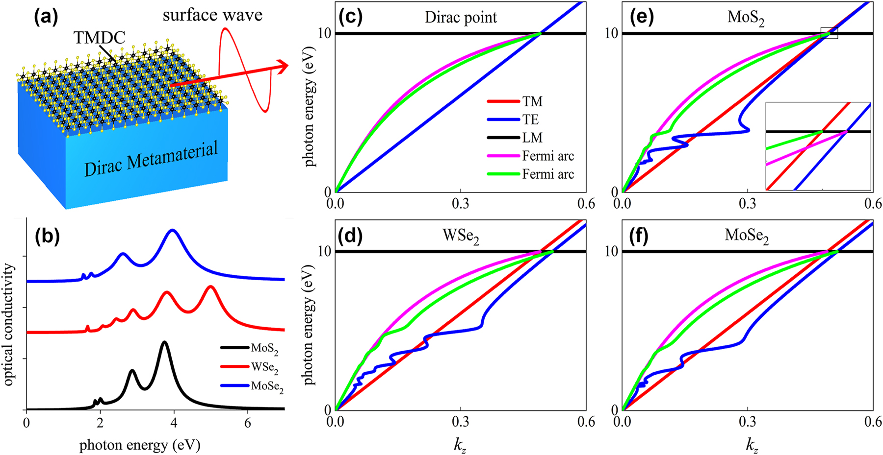 Tunable and unconventional Fermi arcs of two-dimensional transition ...