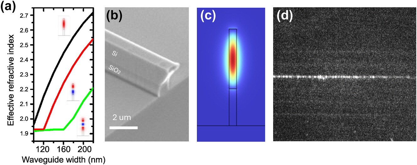 Hybrid SiO2/Si pillar-based optomechanical crystals for on-chip ...
