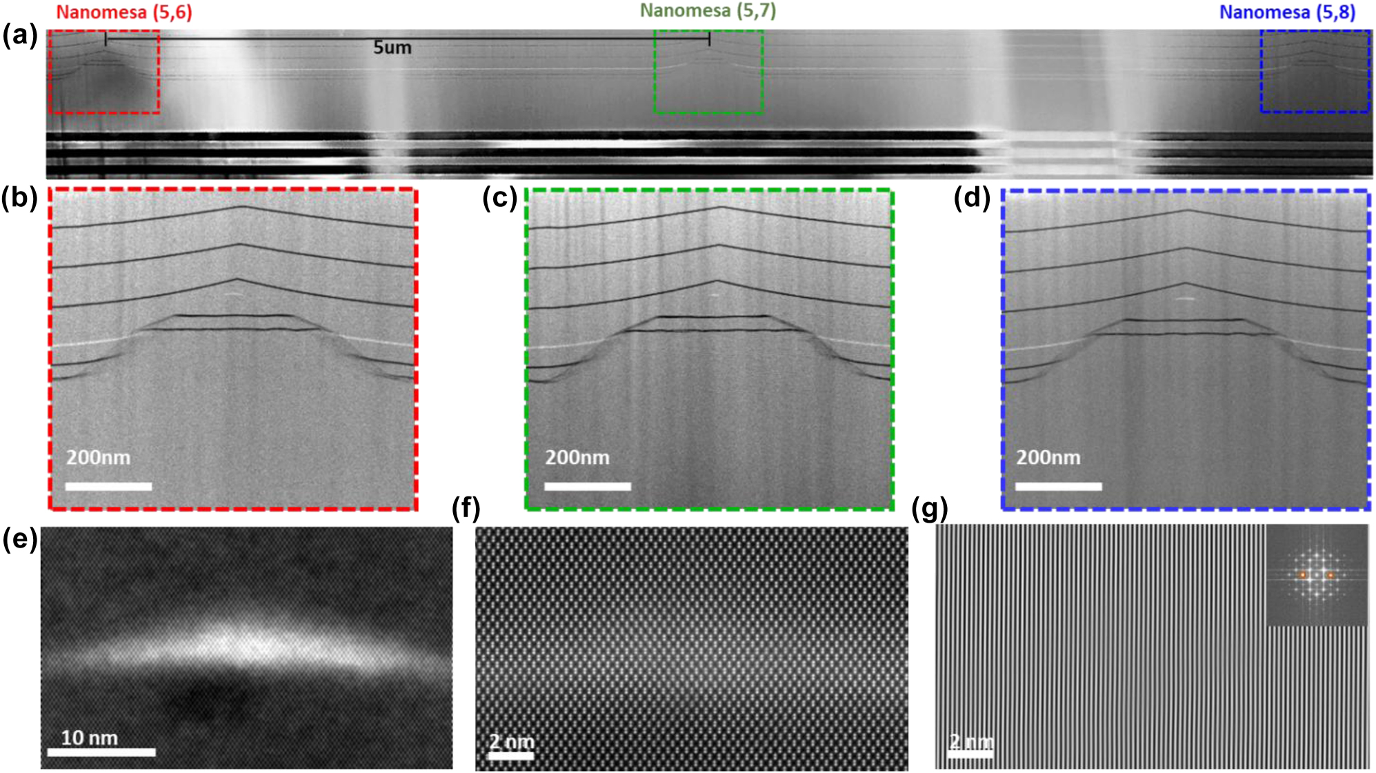 Single photon superradiance enhanced light–matter interac...