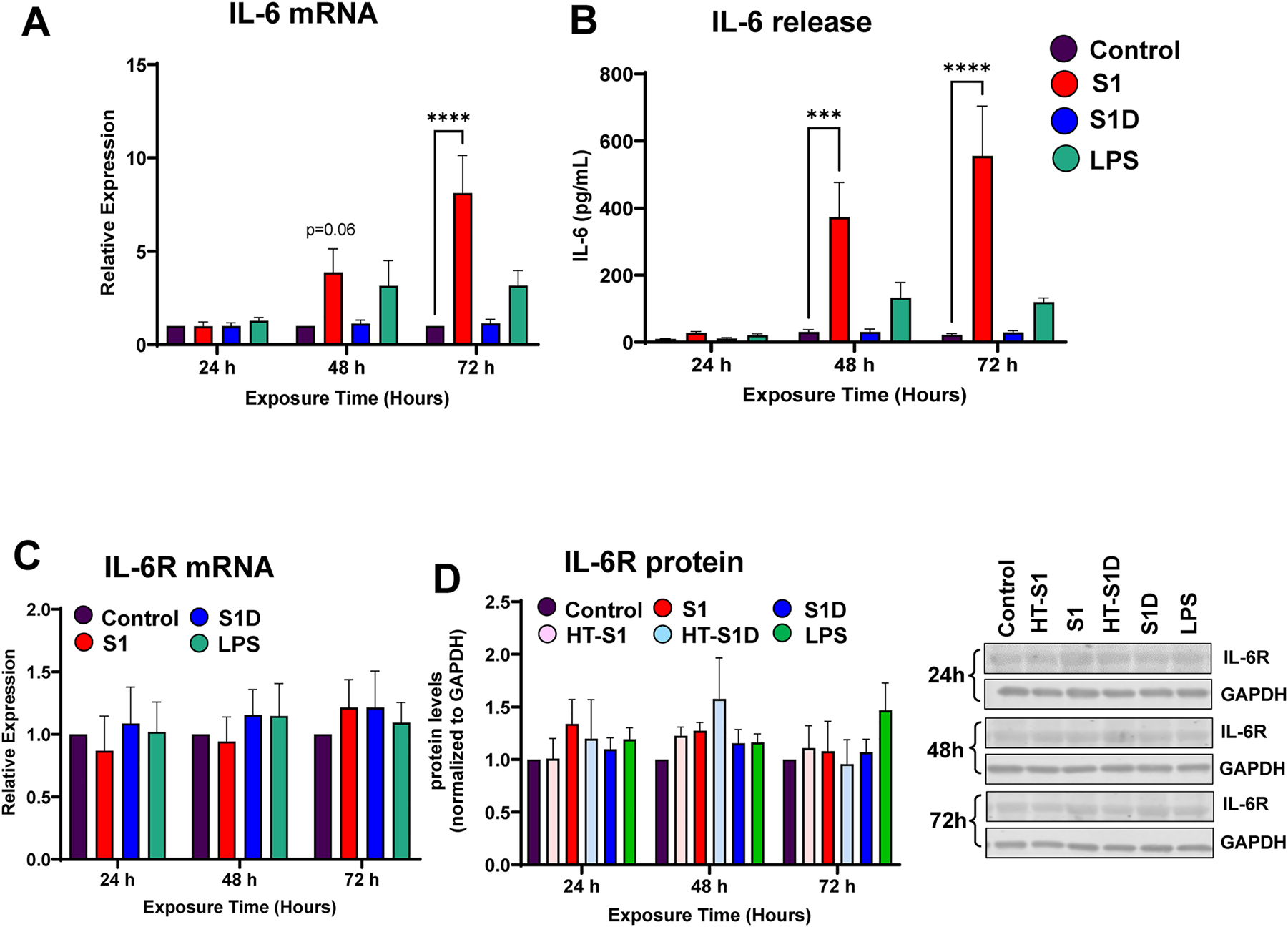 The S1 subunits of SARS-CoV-2 variants differentially trigger the IL-6 signaling pathway in ...