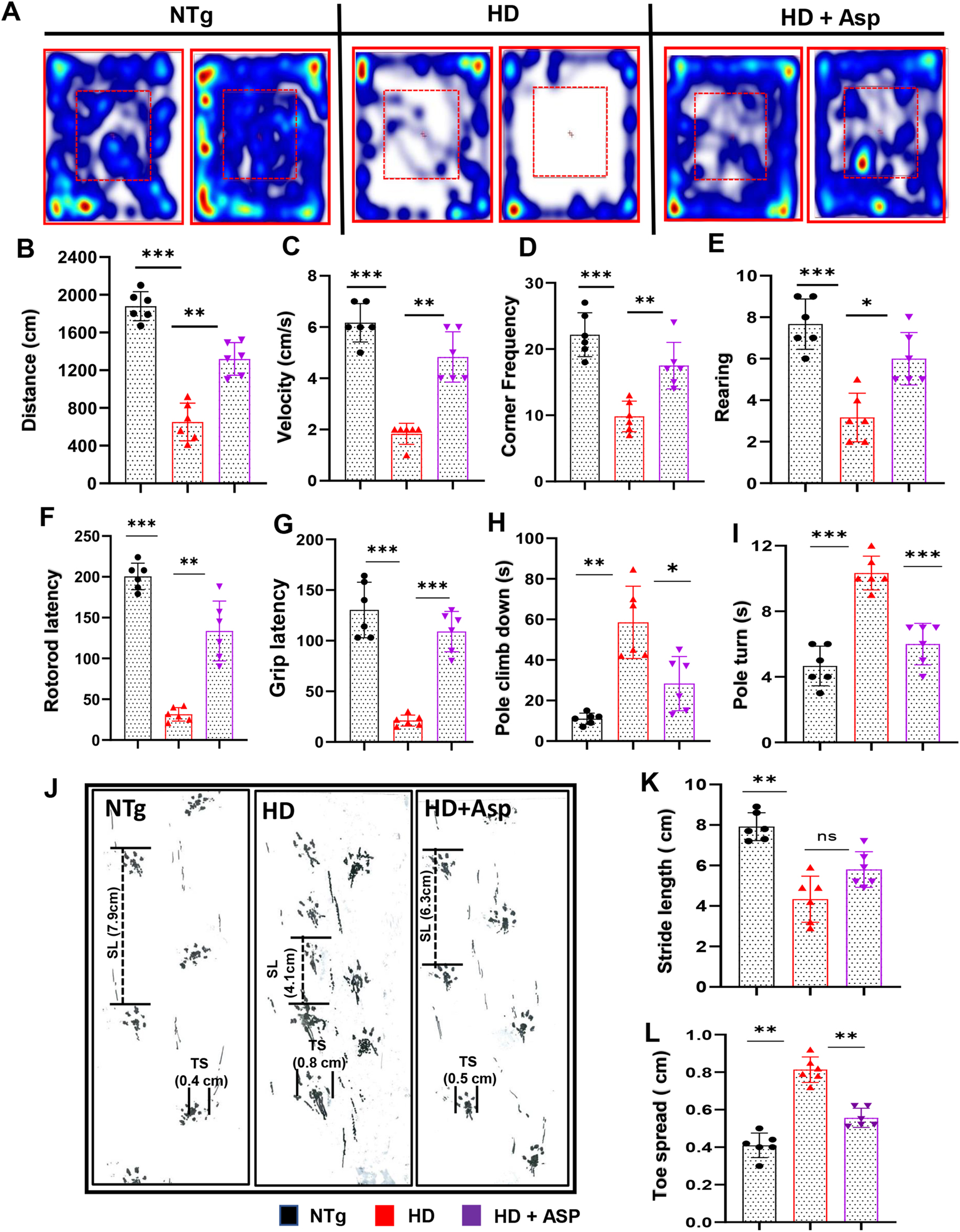 Nebulization of low-dose aspirin ameliorates Huntington’s pathology in ...