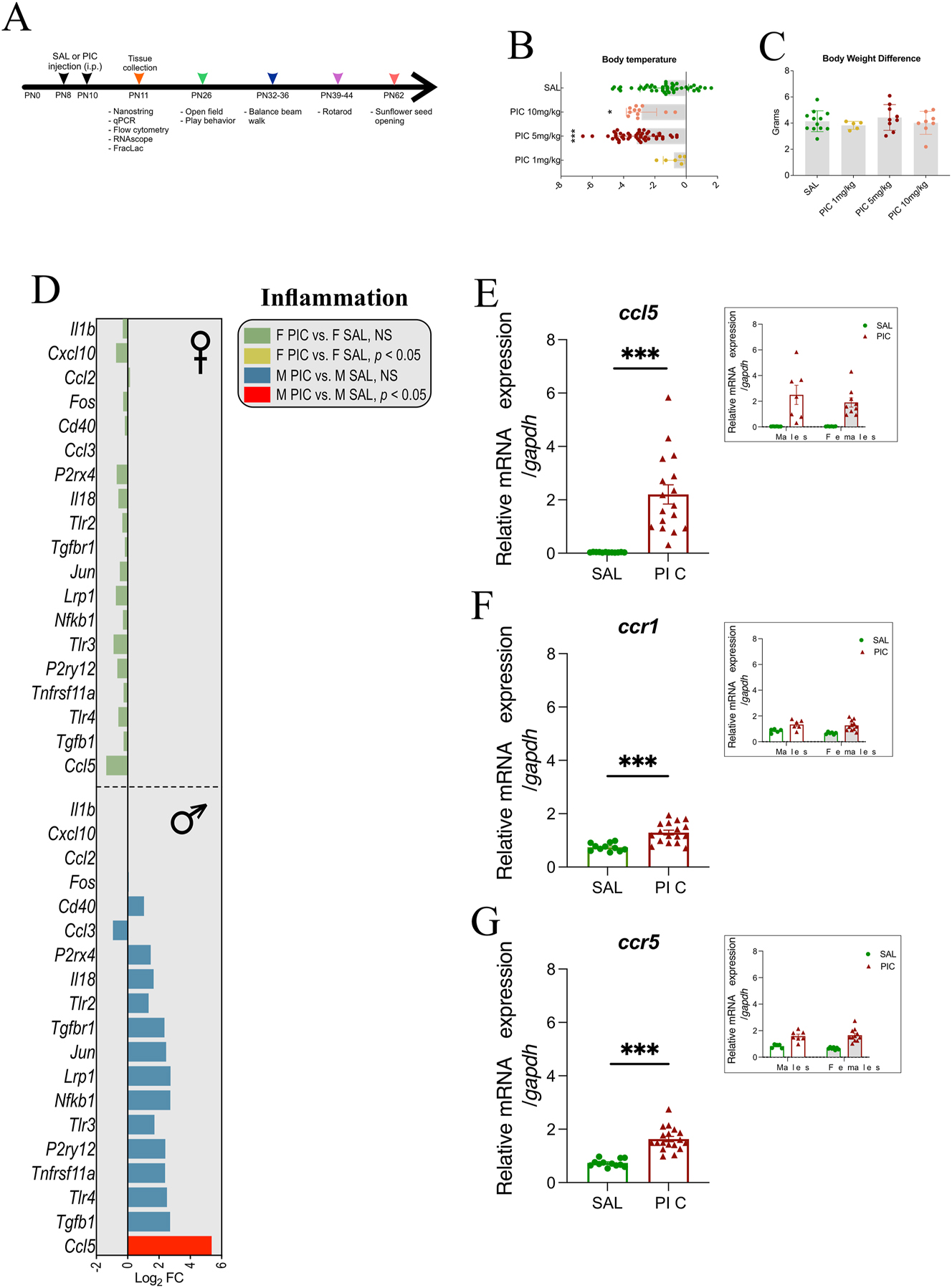 Viral-mediated inflammation by Poly I:C induces the chemokine CCL5 in ...