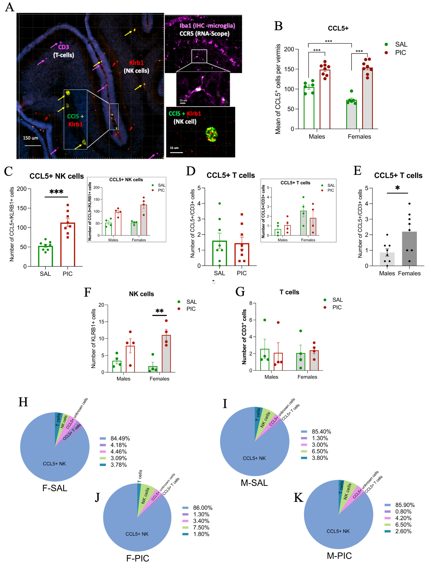 Viral-mediated inflammation by Poly I:C induces the chemokine CCL5 in ...
