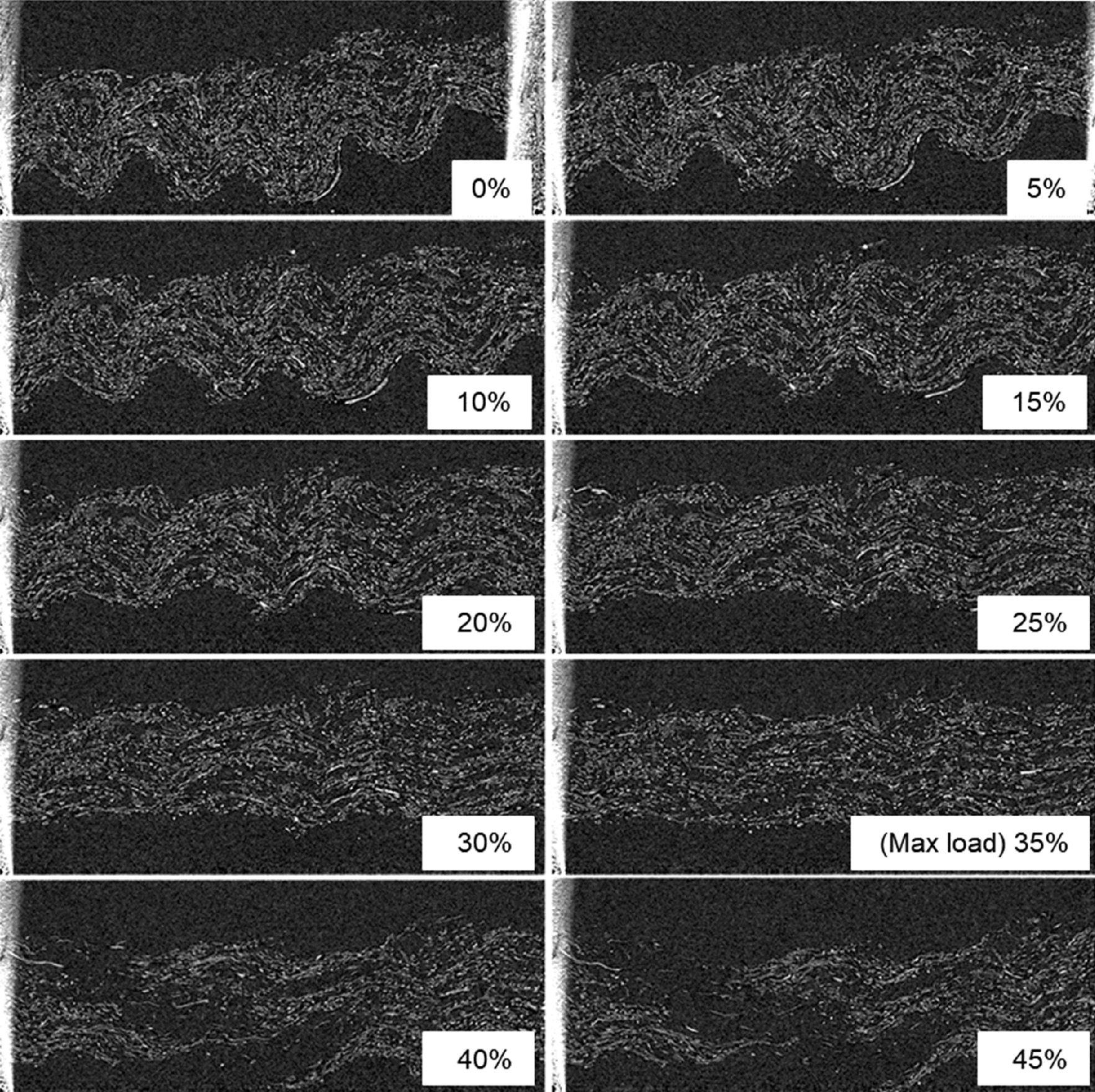 Wet creping of paperboard