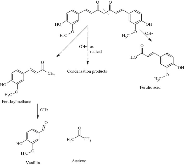 Encapsulation of curcumin into layered double hydroxides