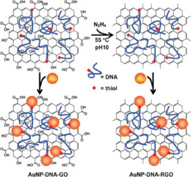Synthesis and functionalization of graphene and application in electrochemical biosensing