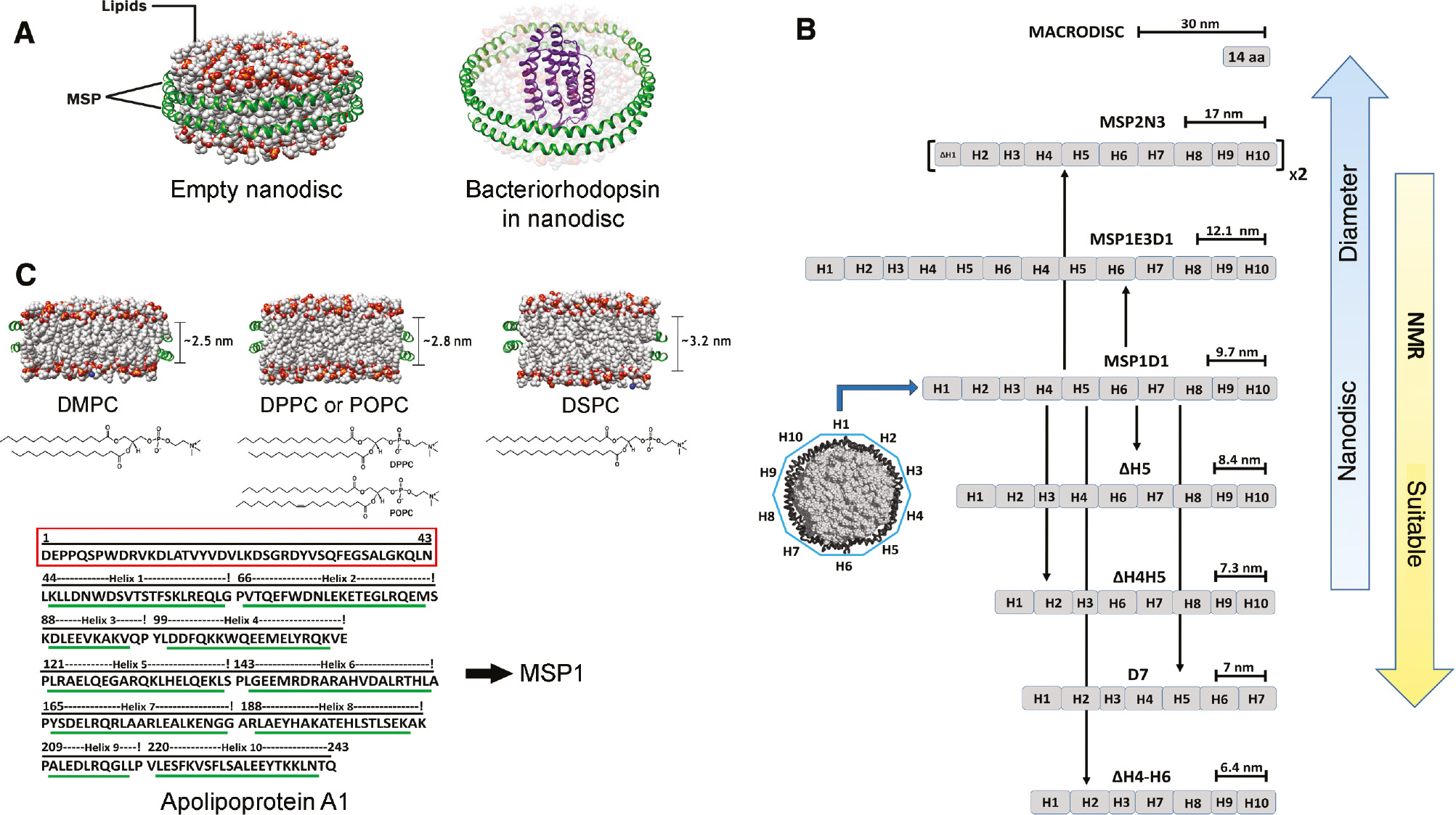 Nanodiscs and solution NMR: preparation, application and challenges