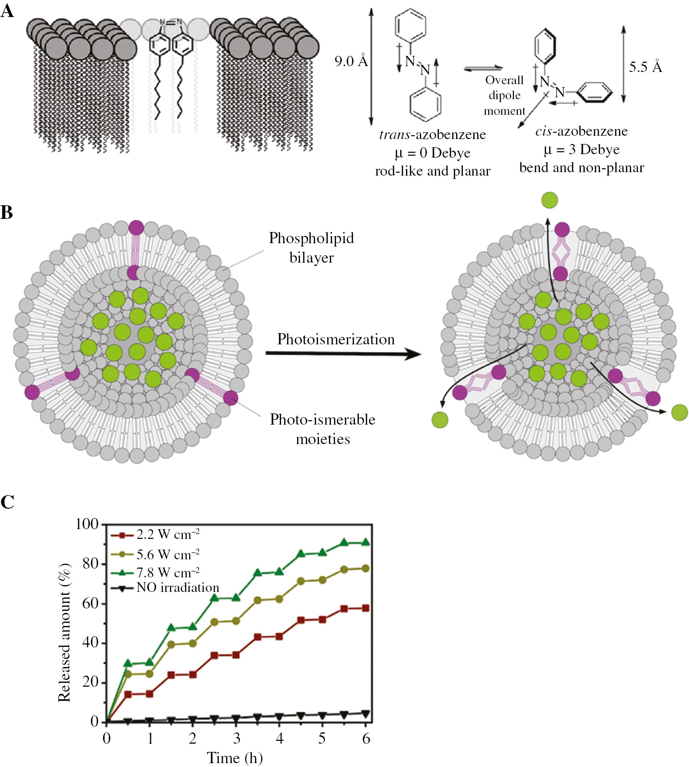 Stimulus-responsive liposomes as smart nanoplatforms for drug delivery ...