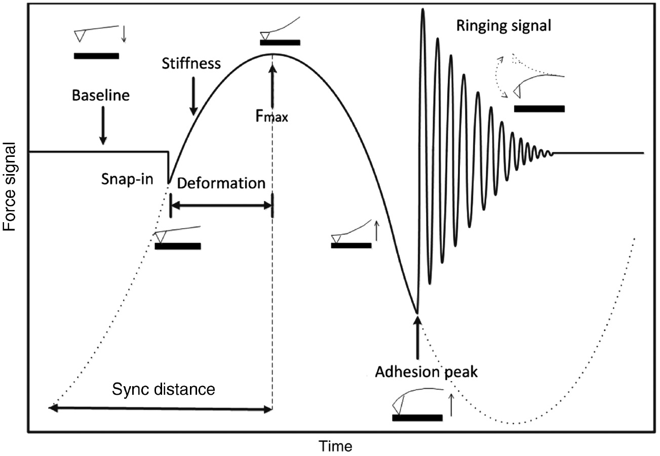 Recent development of PeakForce Tapping mode atomic force microscopy and its applications on ...