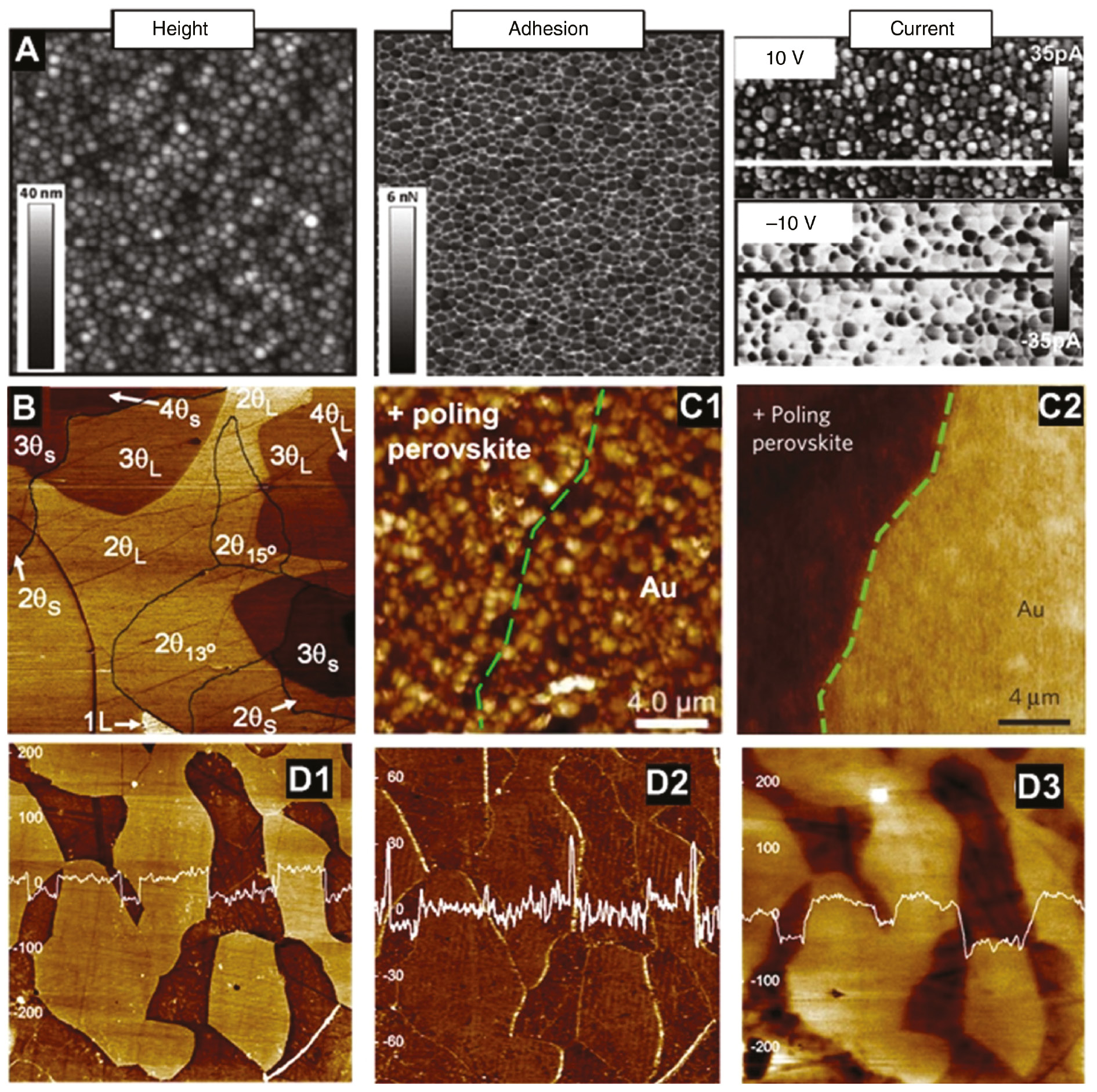 Recent development of PeakForce Tapping mode atomic force microscopy and its applications on ...