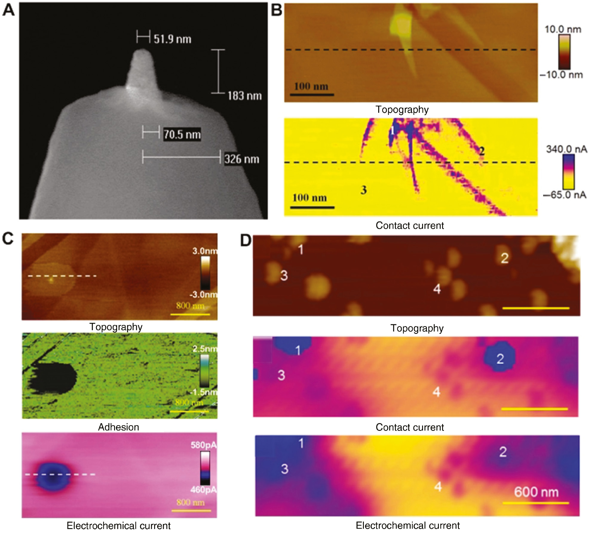 Recent development of PeakForce Tapping mode atomic force microscopy and its applications on ...