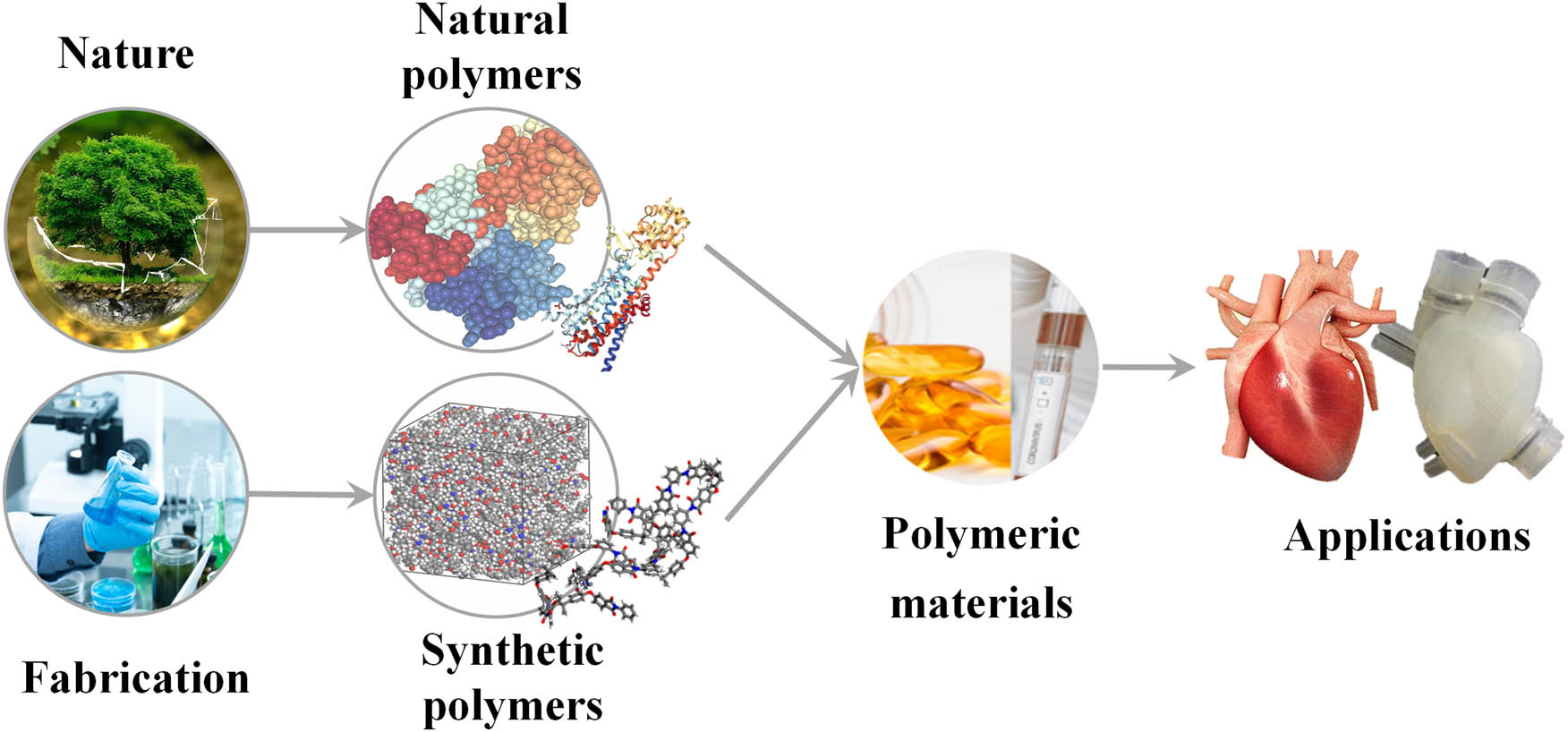 Nanoengineering in biomedicine: Current development and f...