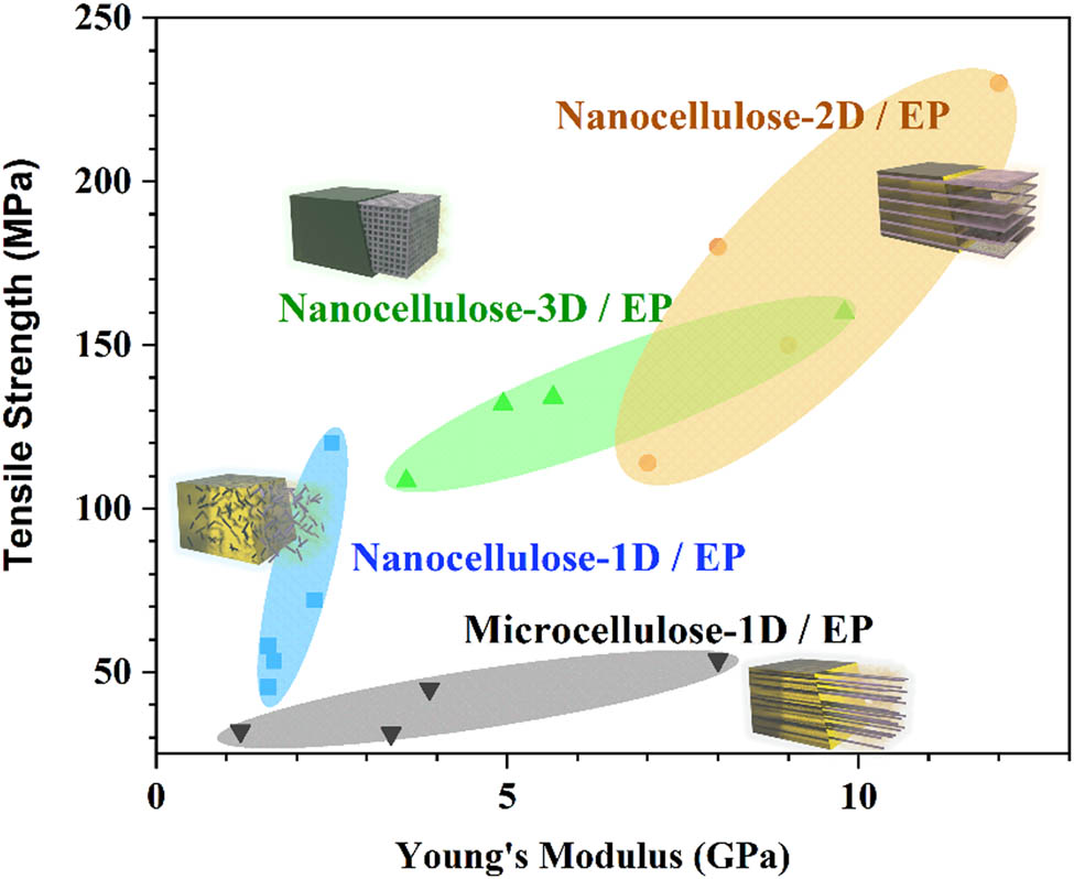 Naturally or artificially constructed nanocellulose archi...