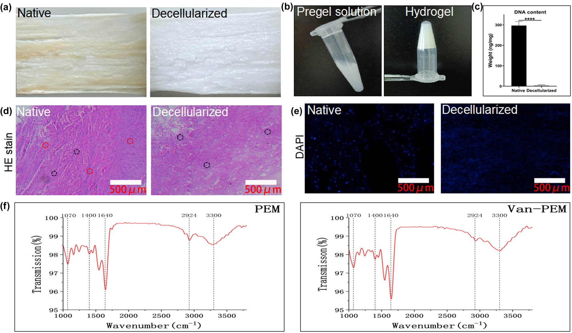 Design of functional vancomycin-embedded bio-derived extracellular ...