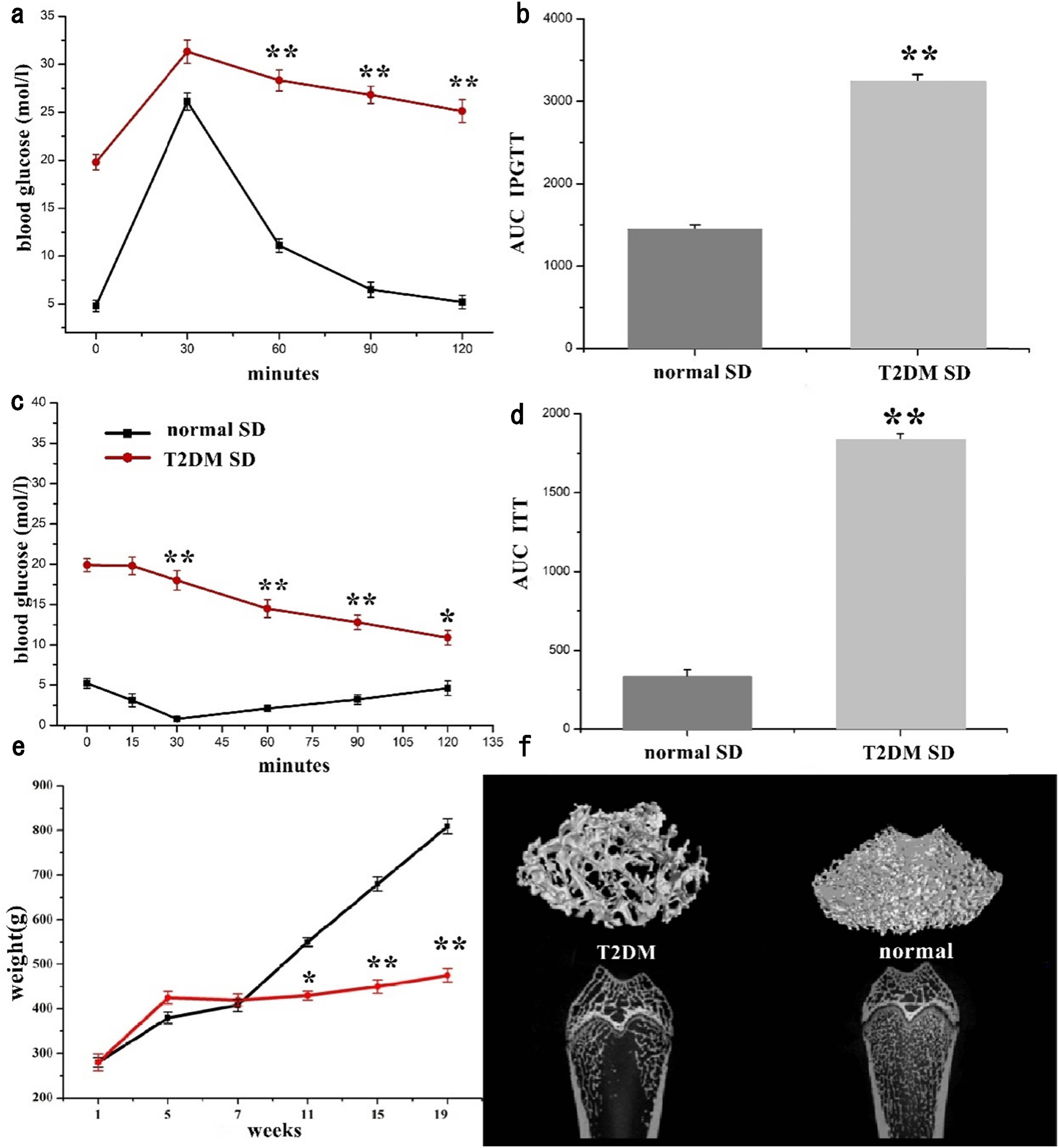 Improved osseointegration of dental titanium implants by TiO2 nanotube ...