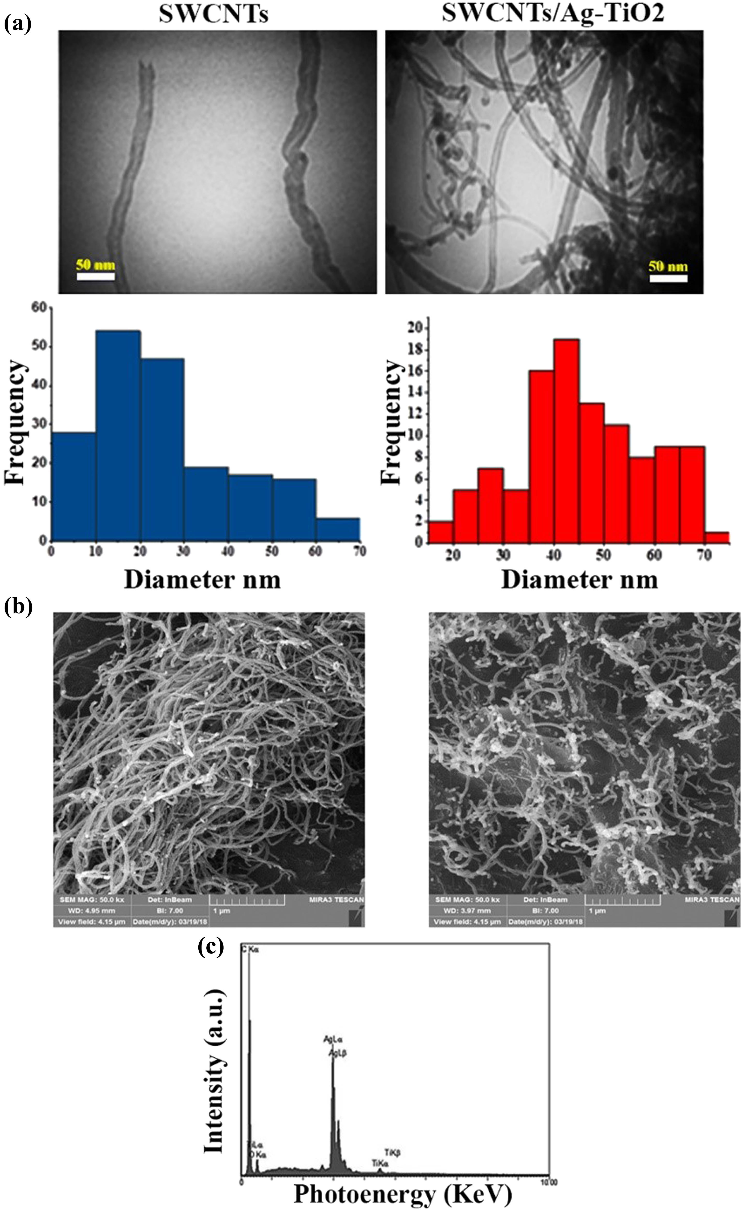 Functionalized SWCNTs@Ag–TiO2 nanocomposites induce ROS-mediated ...