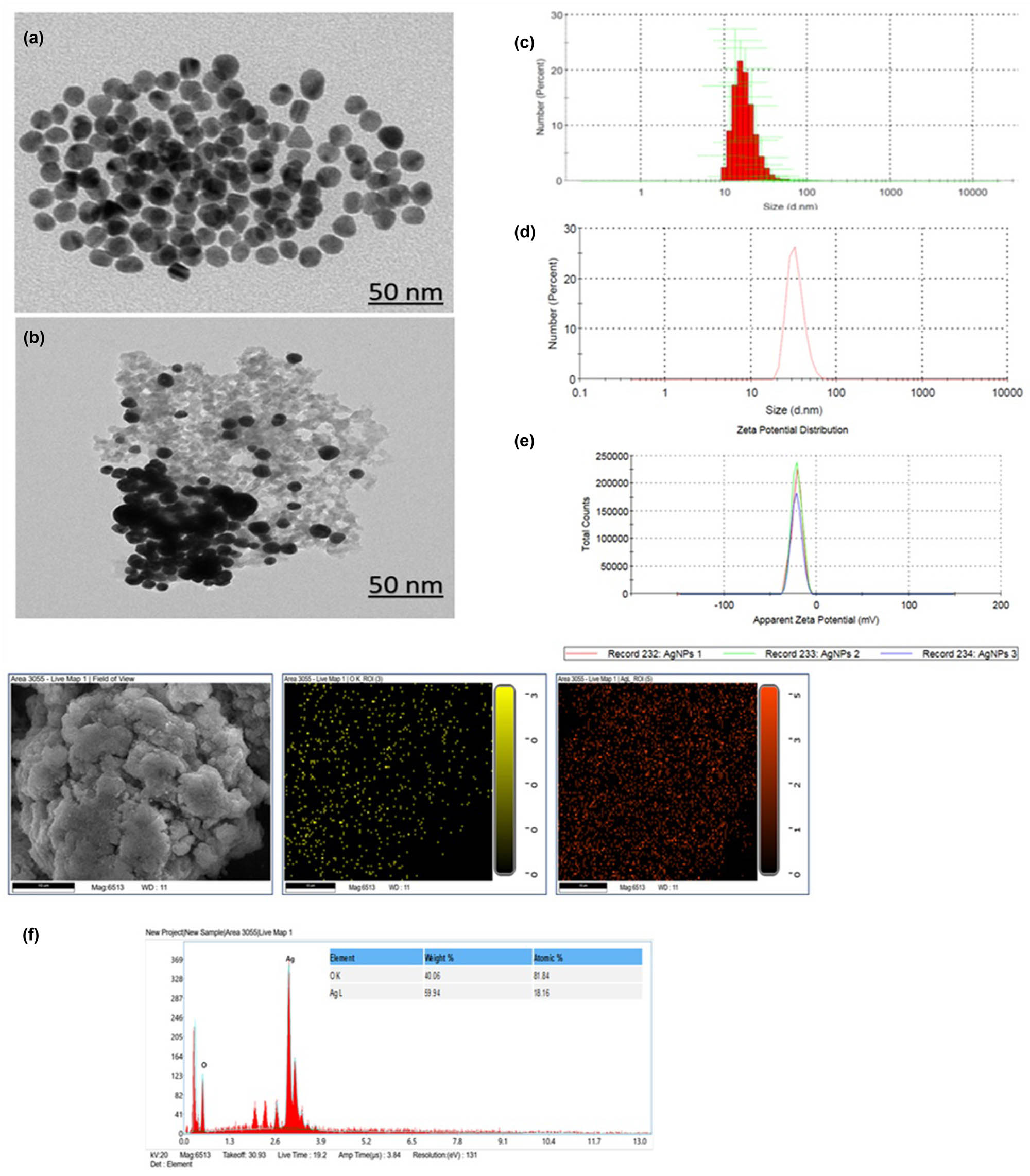 Biogenic fabrication and multifunctional therapeutic appl...